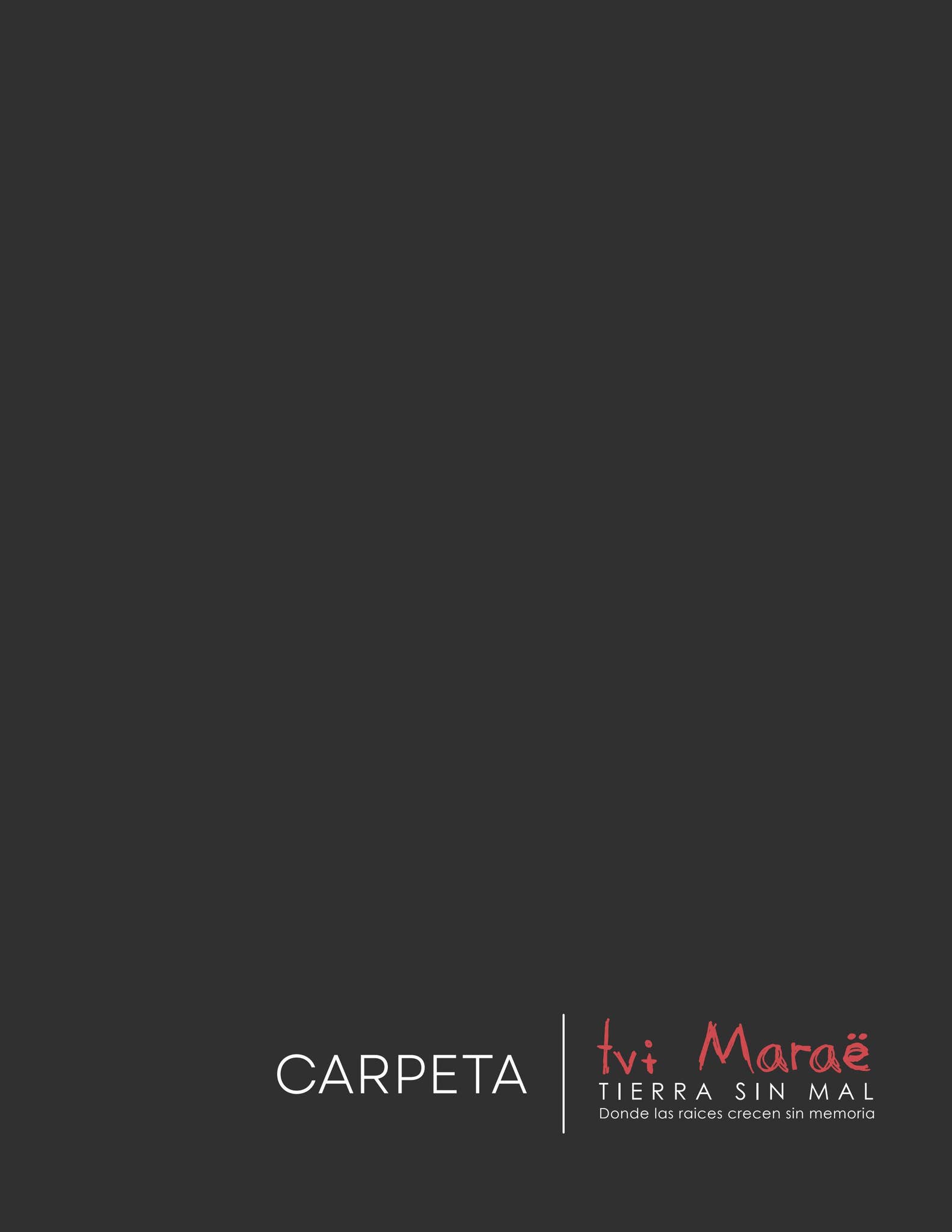 Ɨvɨ Maraëɨ - Tierra sin mal by Fabiola Delgadillo - Issuu