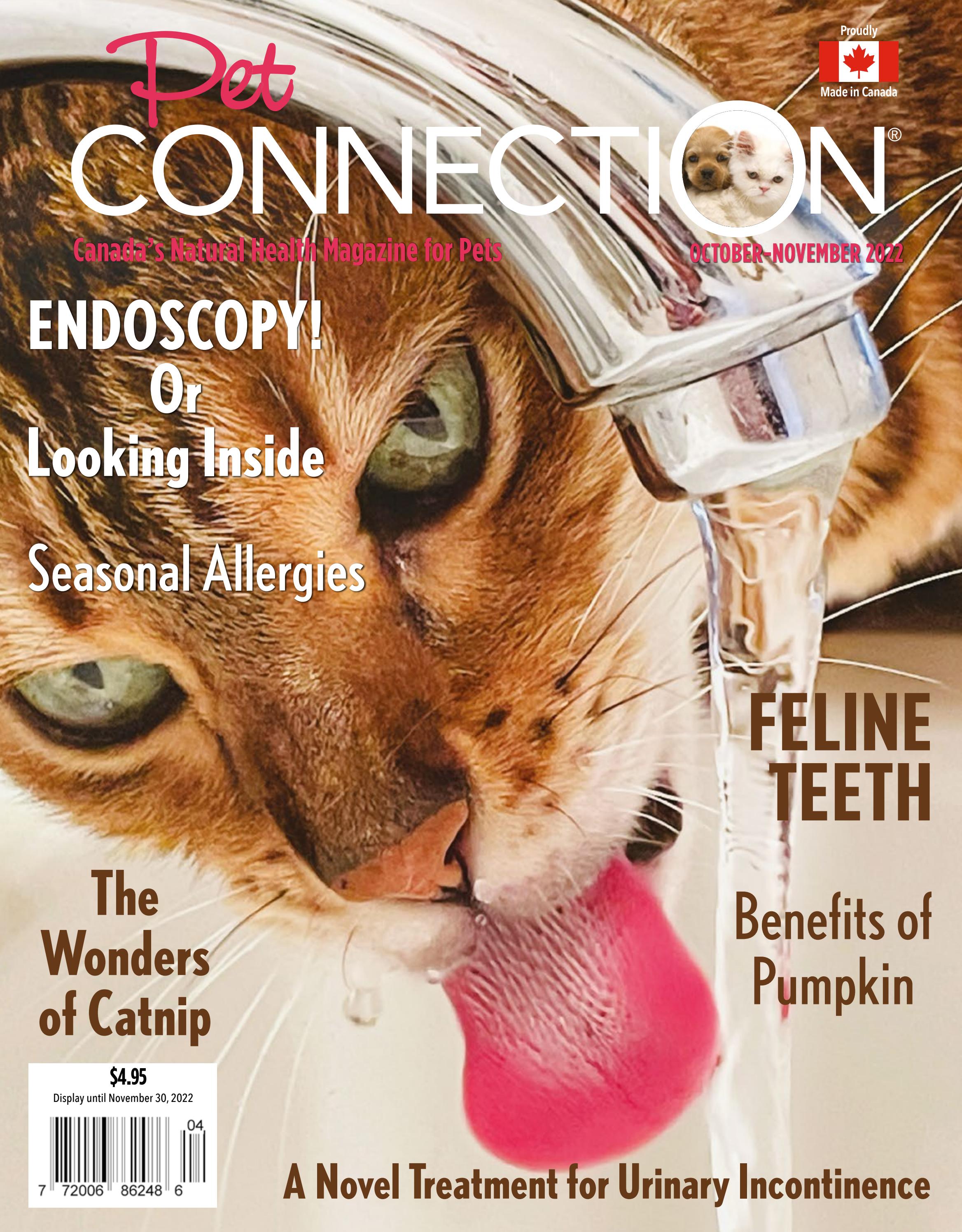 Pet Connection October / November Issue by Pet Connection - Issuu