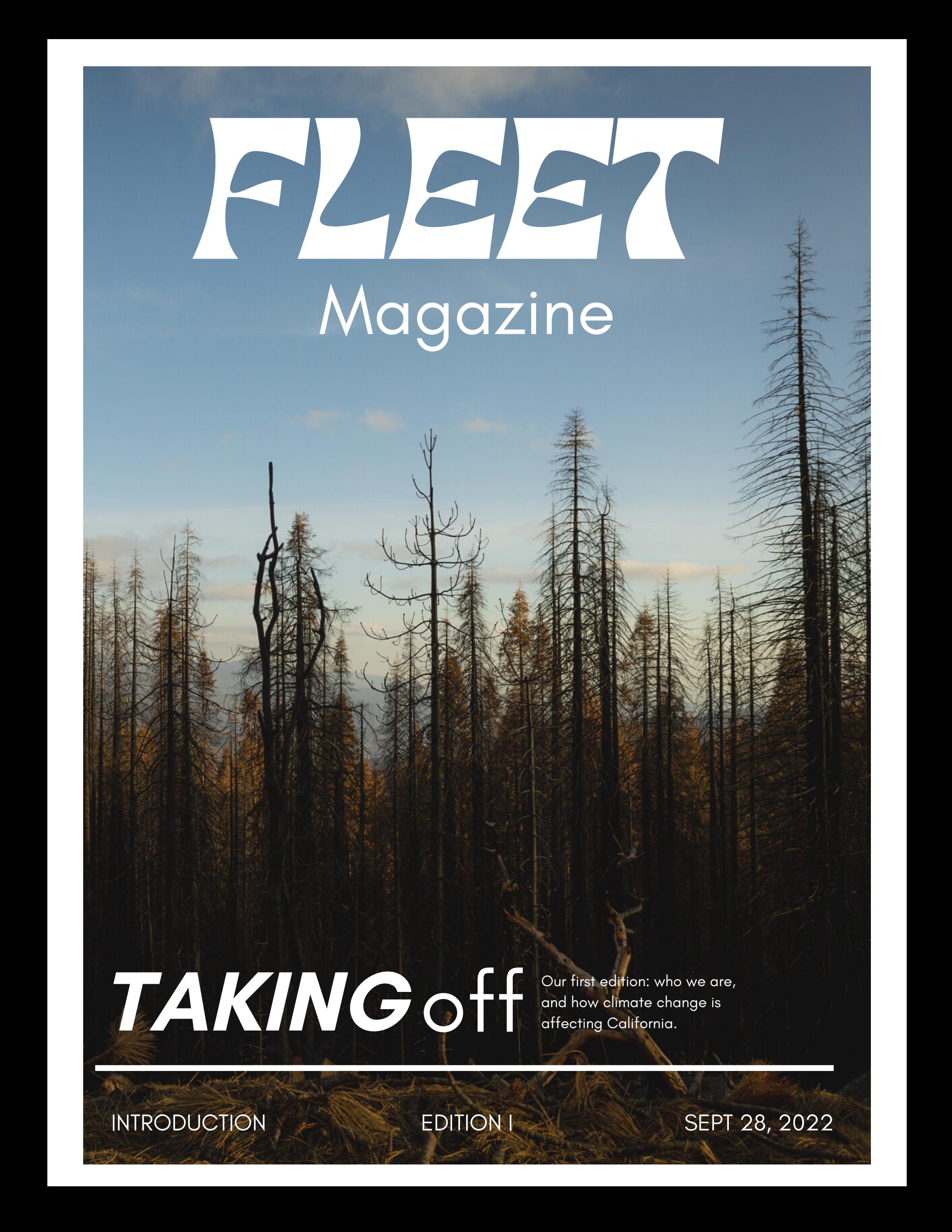 FLEET: TAKING OFF EDITION I by FLEETmag - Issuu