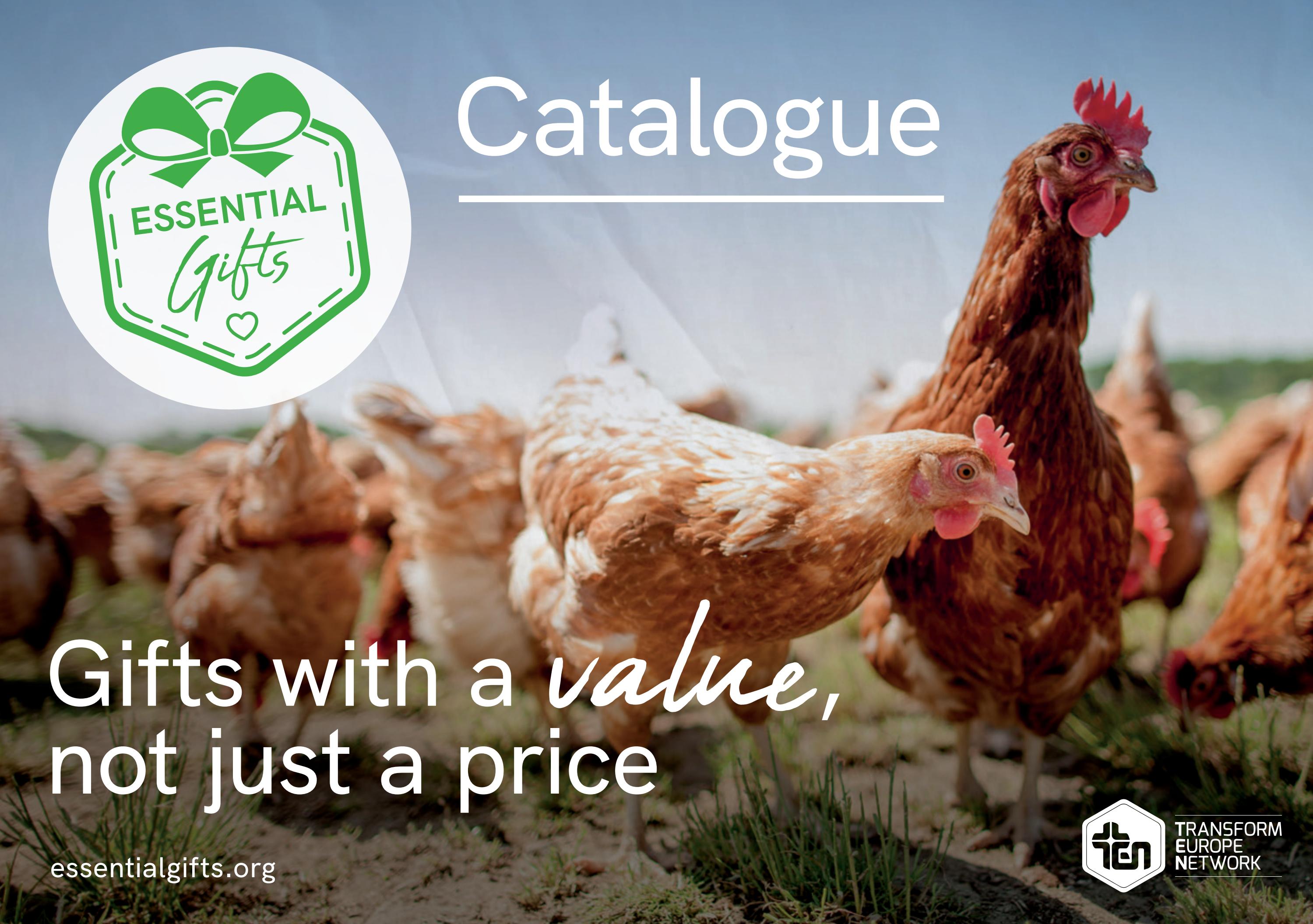 Essential Gifts catalogue 2022/2023 by Transform Europe Network - Issuu