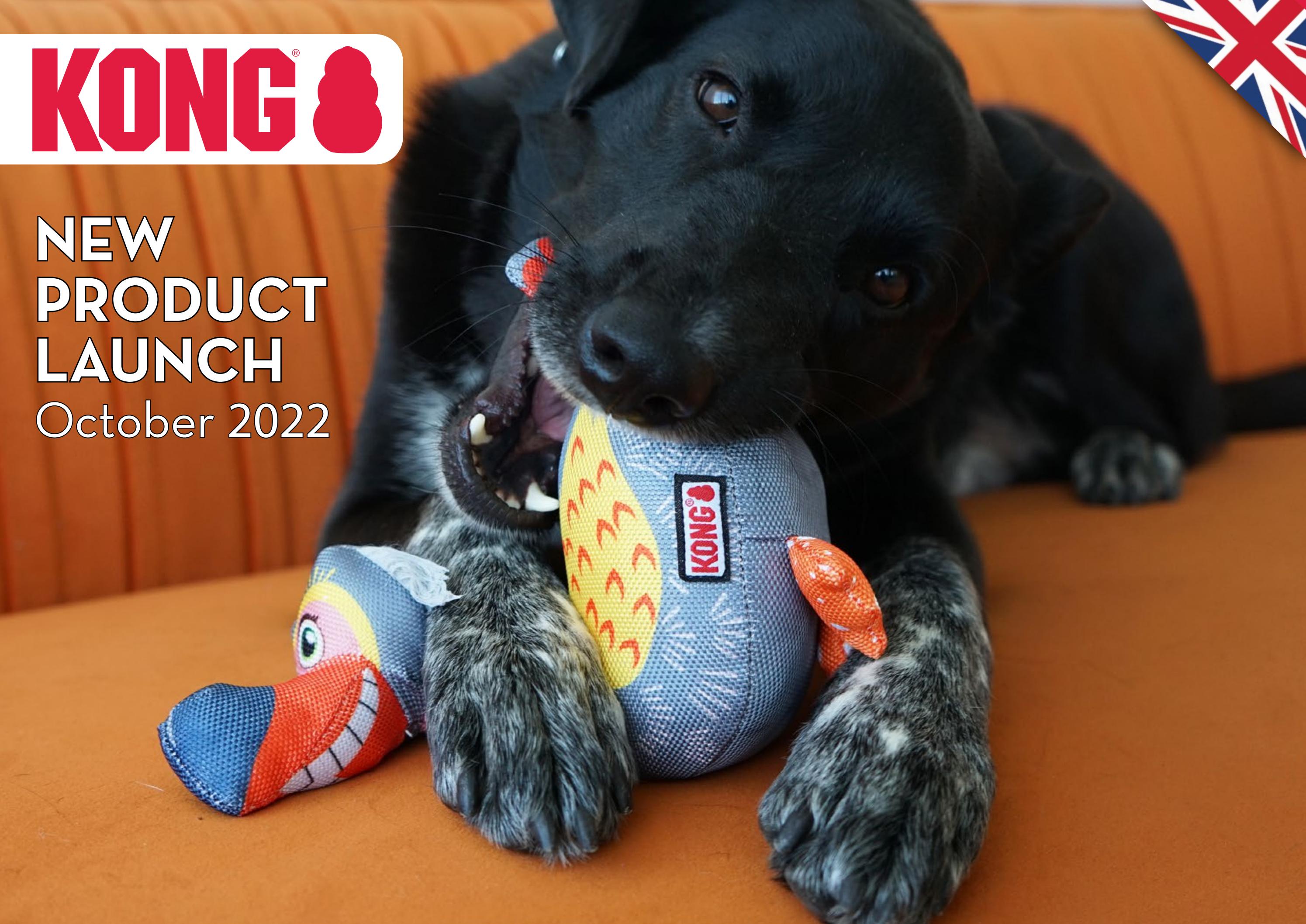 KONG UK October Promo Book 2022 by KONG Company - Issuu