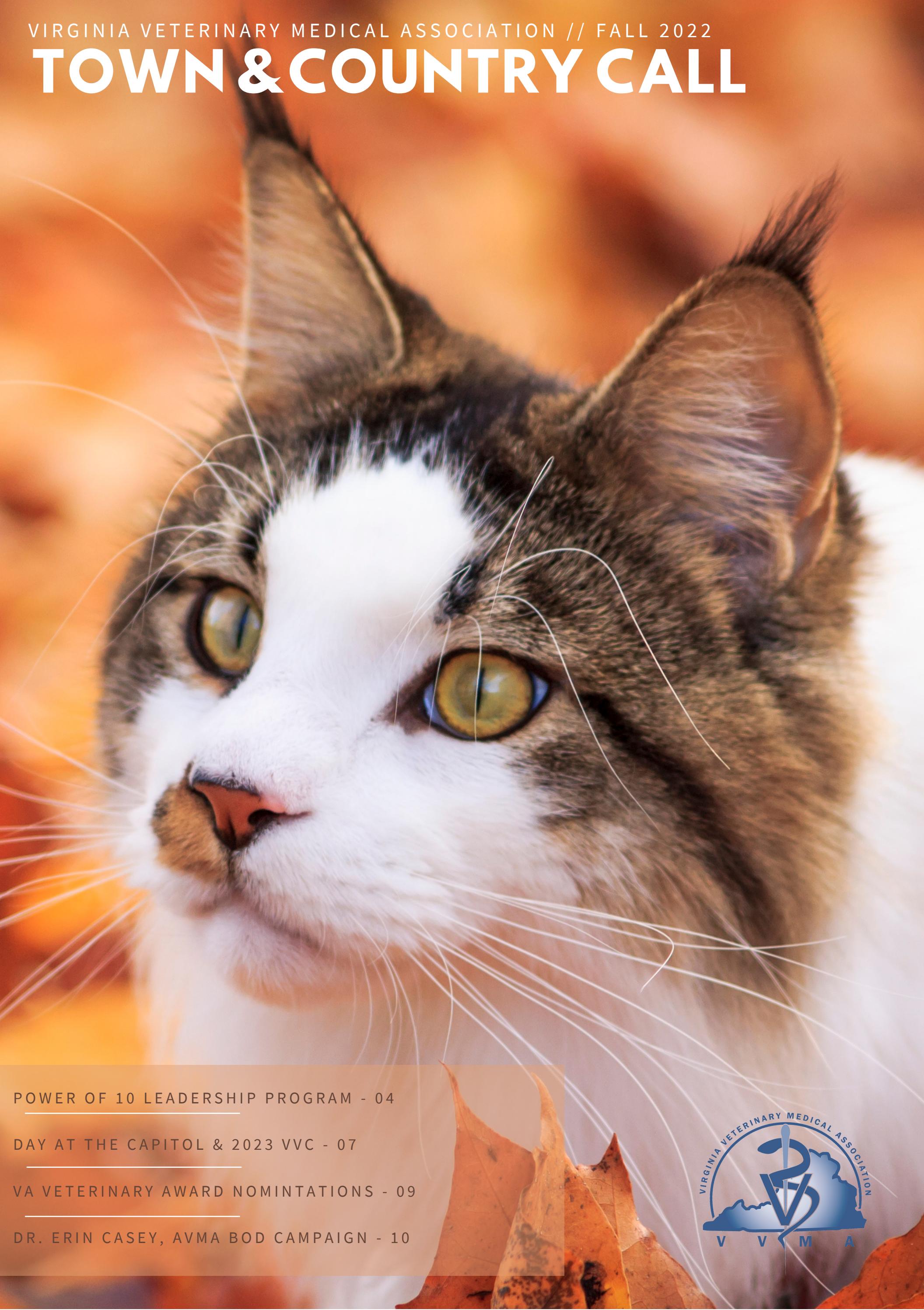 2022 Fall Town & Country Call Newsletter by VirginiaVMA - Issuu