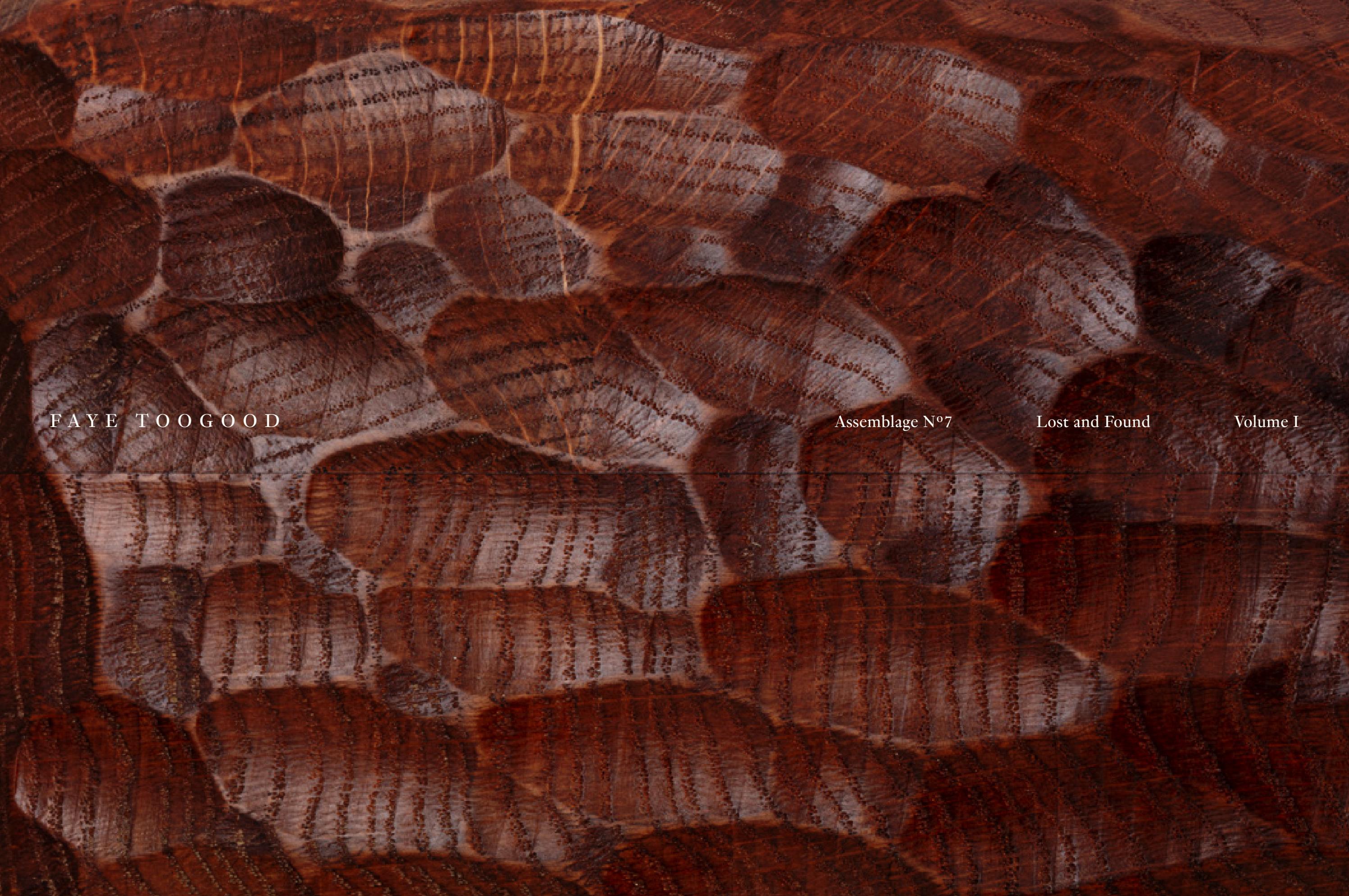 FAYE TOOGOOD | ASSEMBLAGE 7: Lost and Found by Friedman Benda - Issuu