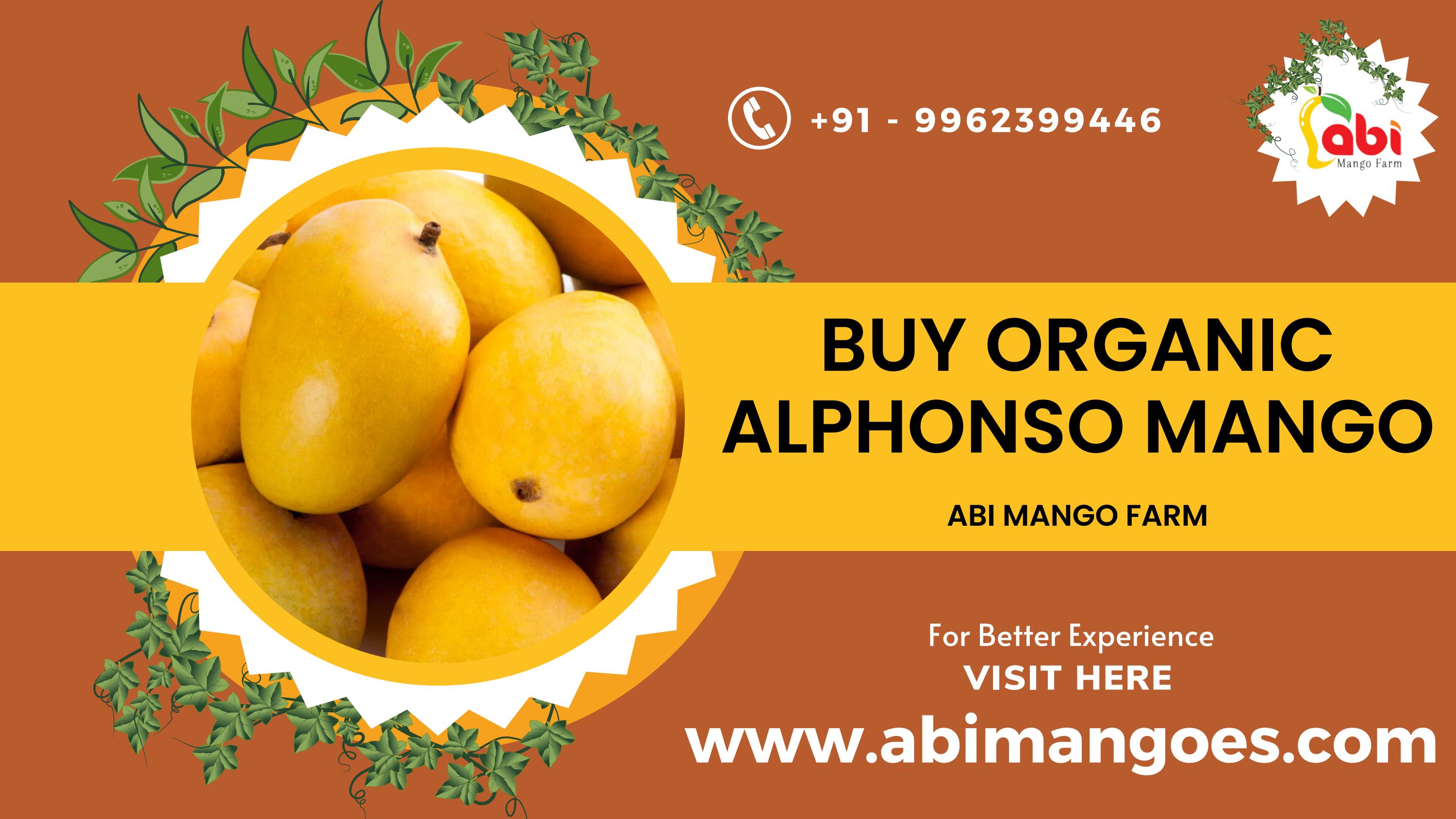 Buy Alphonso Mangoes Online - Creamy Texture and Carbide Free Mangoes ...