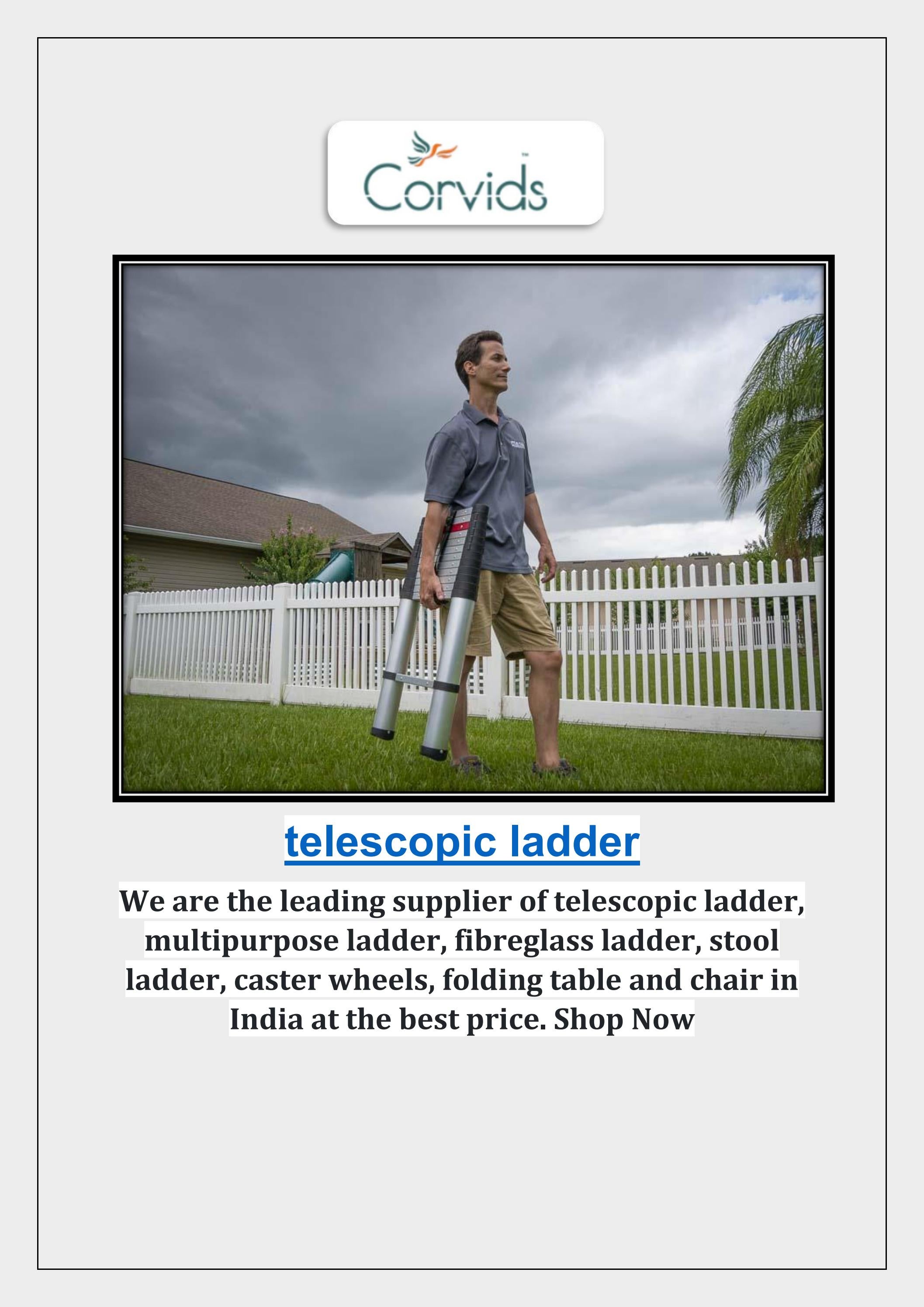 Leading Supplier of Telescopic Ladder by Corvids - Issuu