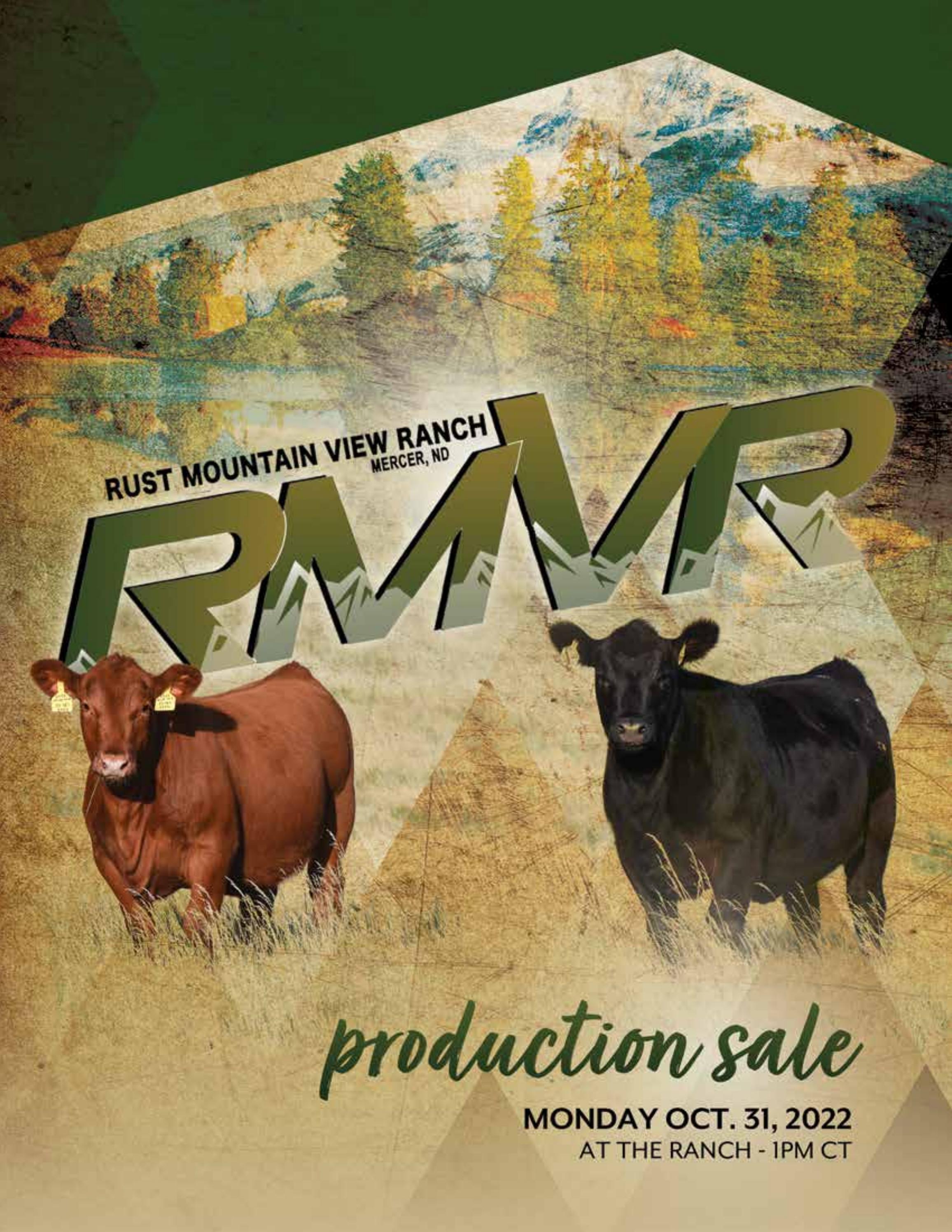 Rust Mountain View Ranch Production Sale 2022 by Bohrson Marketing ...