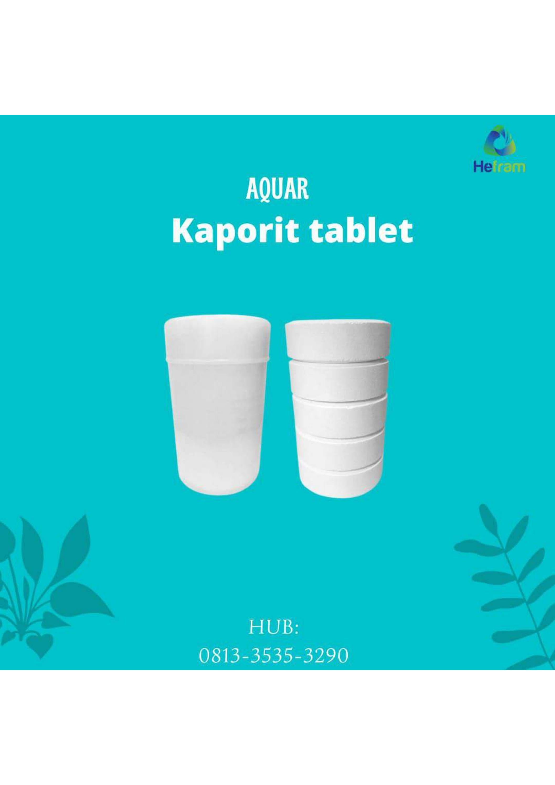 Kaporit Tablet TCCA - 1KG Chlorine Klorin Tablet Besar 0813-3535-3290 ...