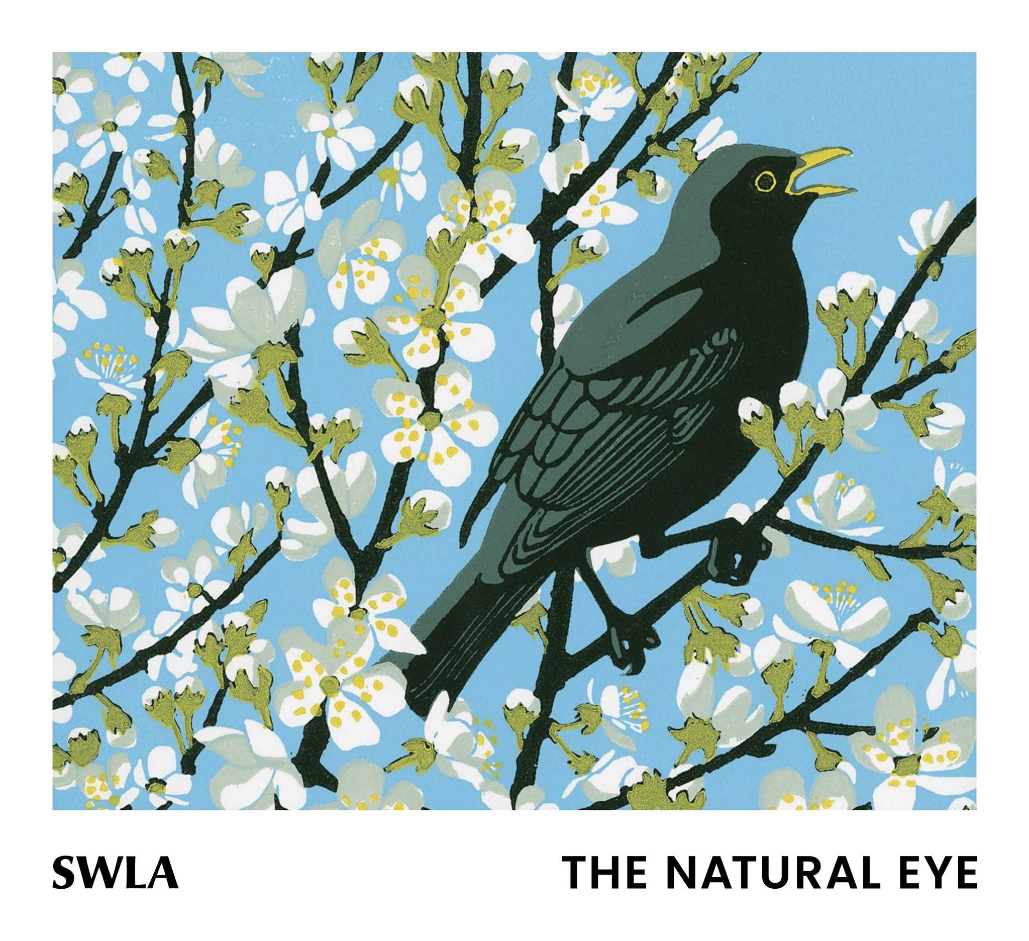SWLA | The Natural Eye 2022 by Mall Galleries - Issuu
