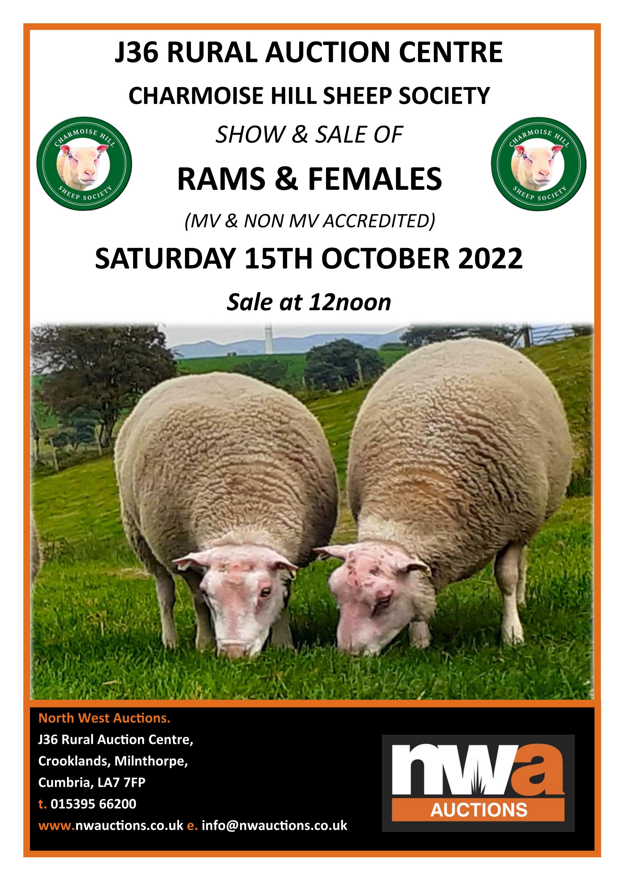 Charmoise Sheep Society, Saturday 15th October 2022. by North West ...