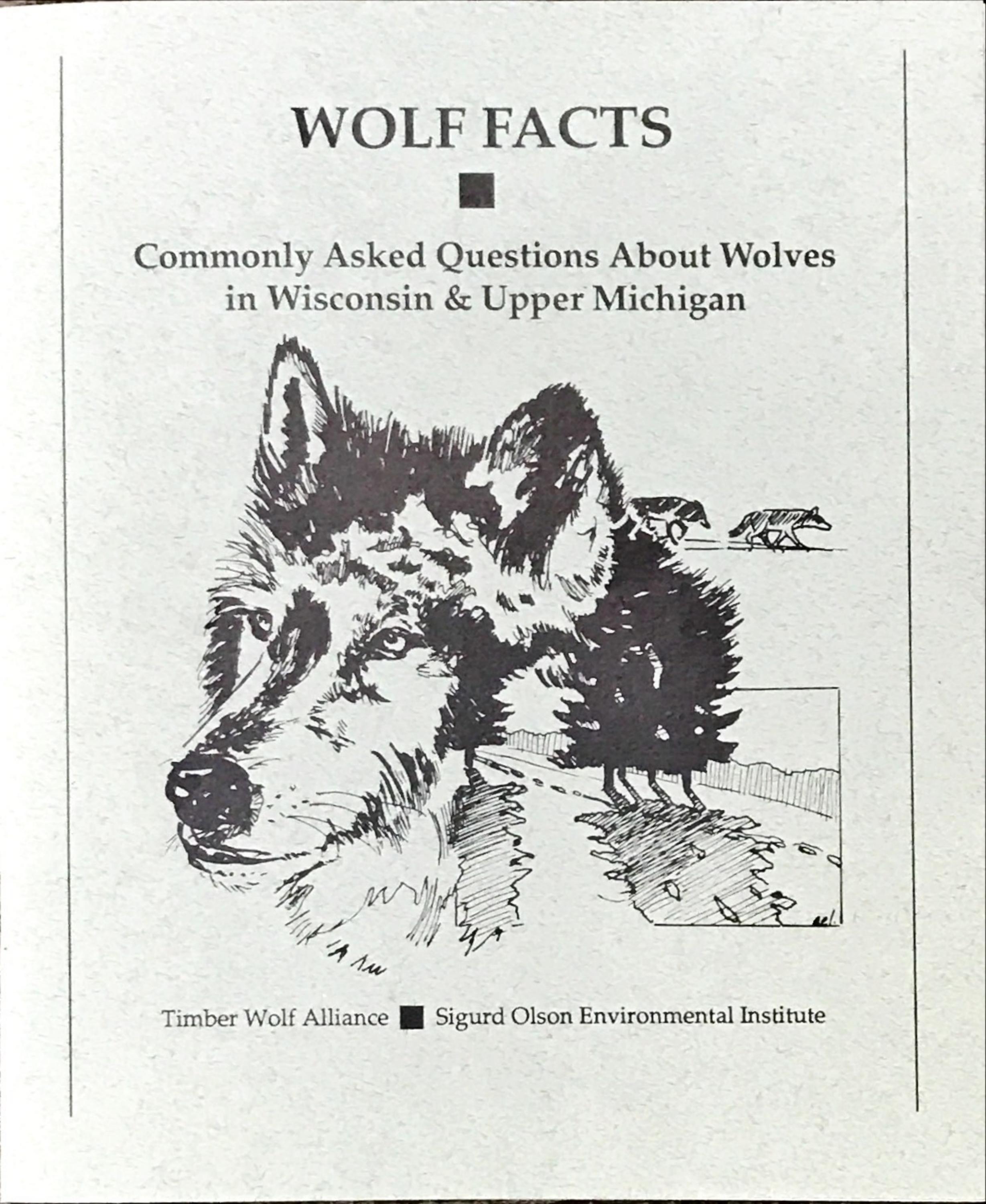 Wolf Facts: Commonly Asked Questions about Wolves in Wisconsin & Upper ...