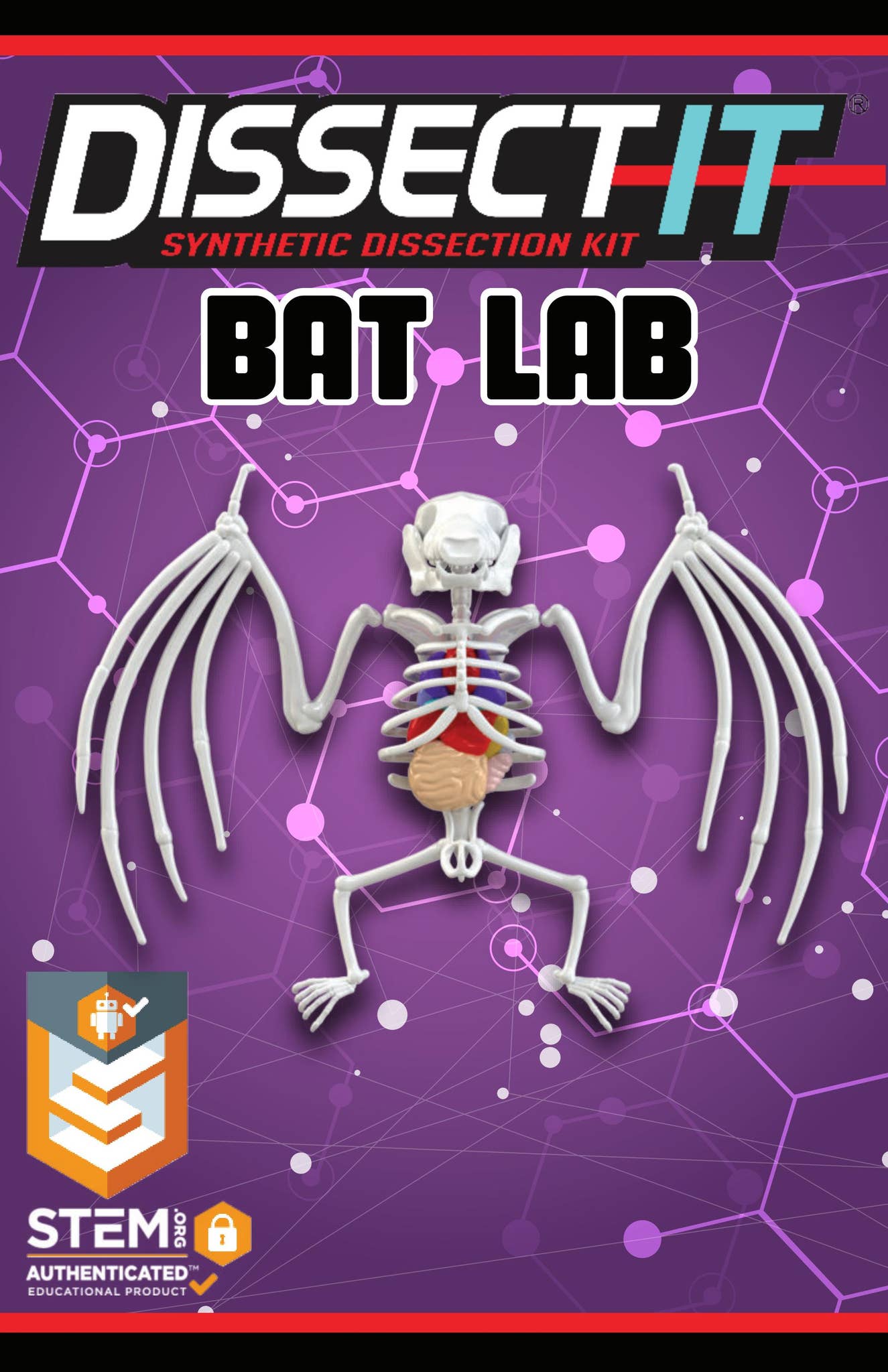 Dissect It Bat Lab Instructions by Passport to Wildlife - Issuu