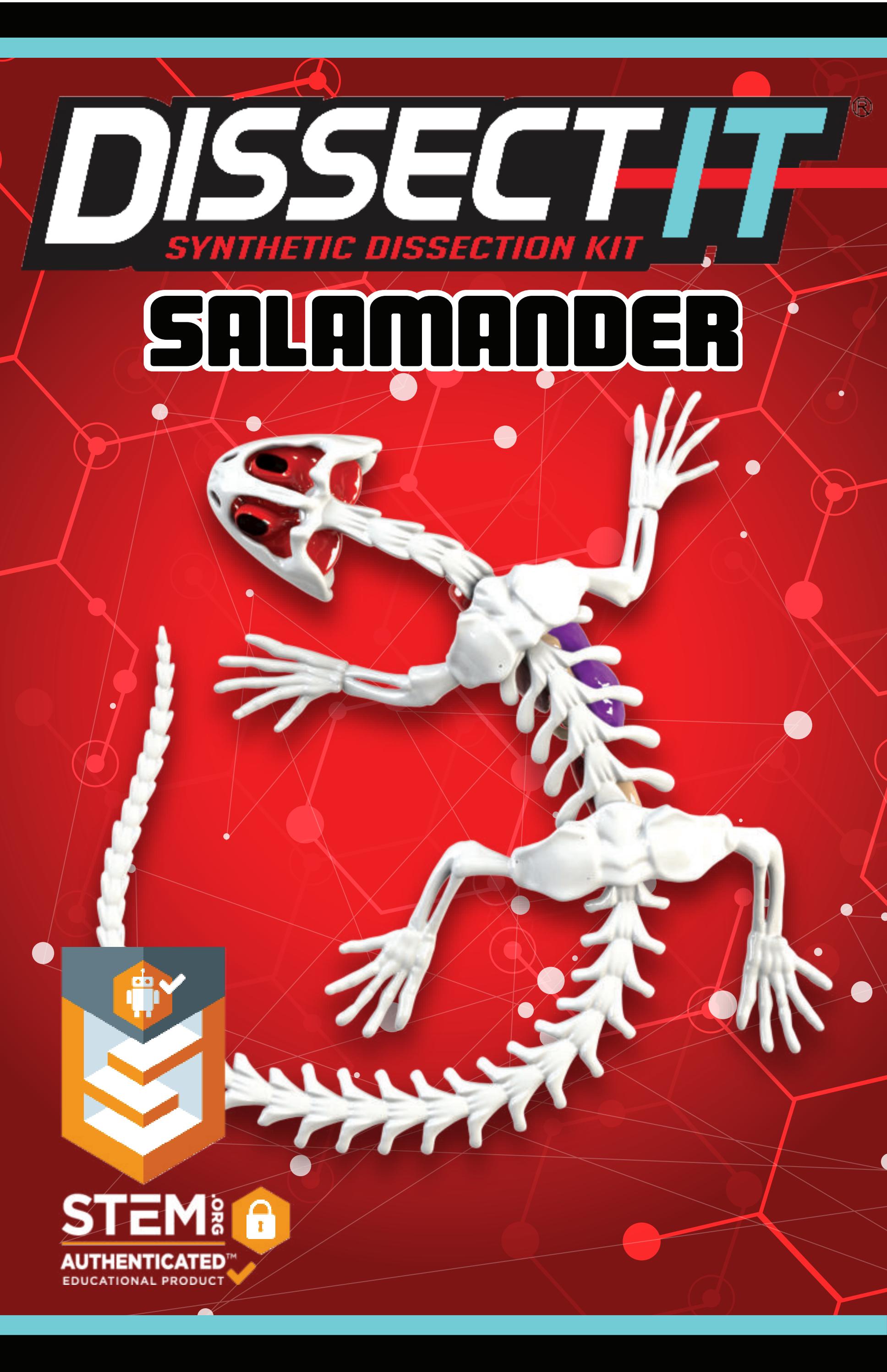 Dissect It Salamander Lab Instructions by Passport to Wildlife - Issuu