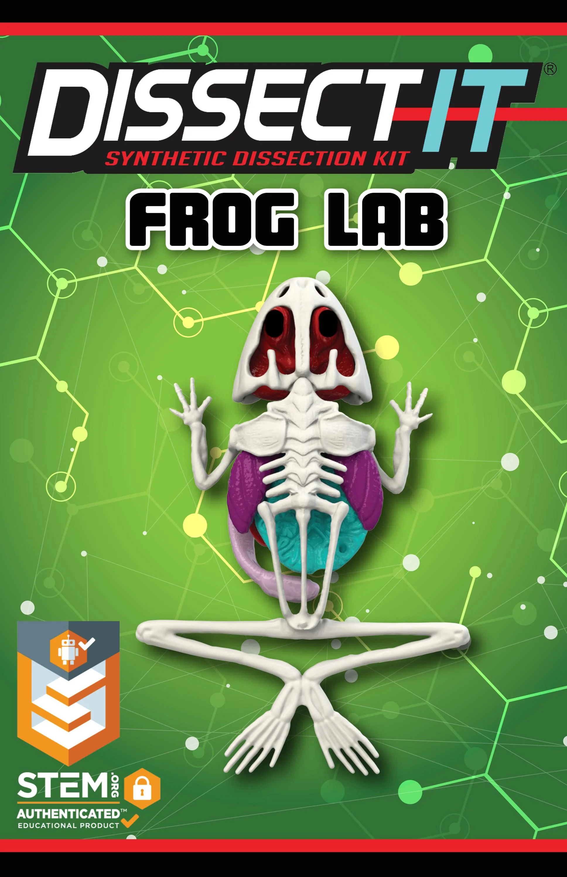 Dissect It Frog Lab by Passport to Wildlife - Issuu