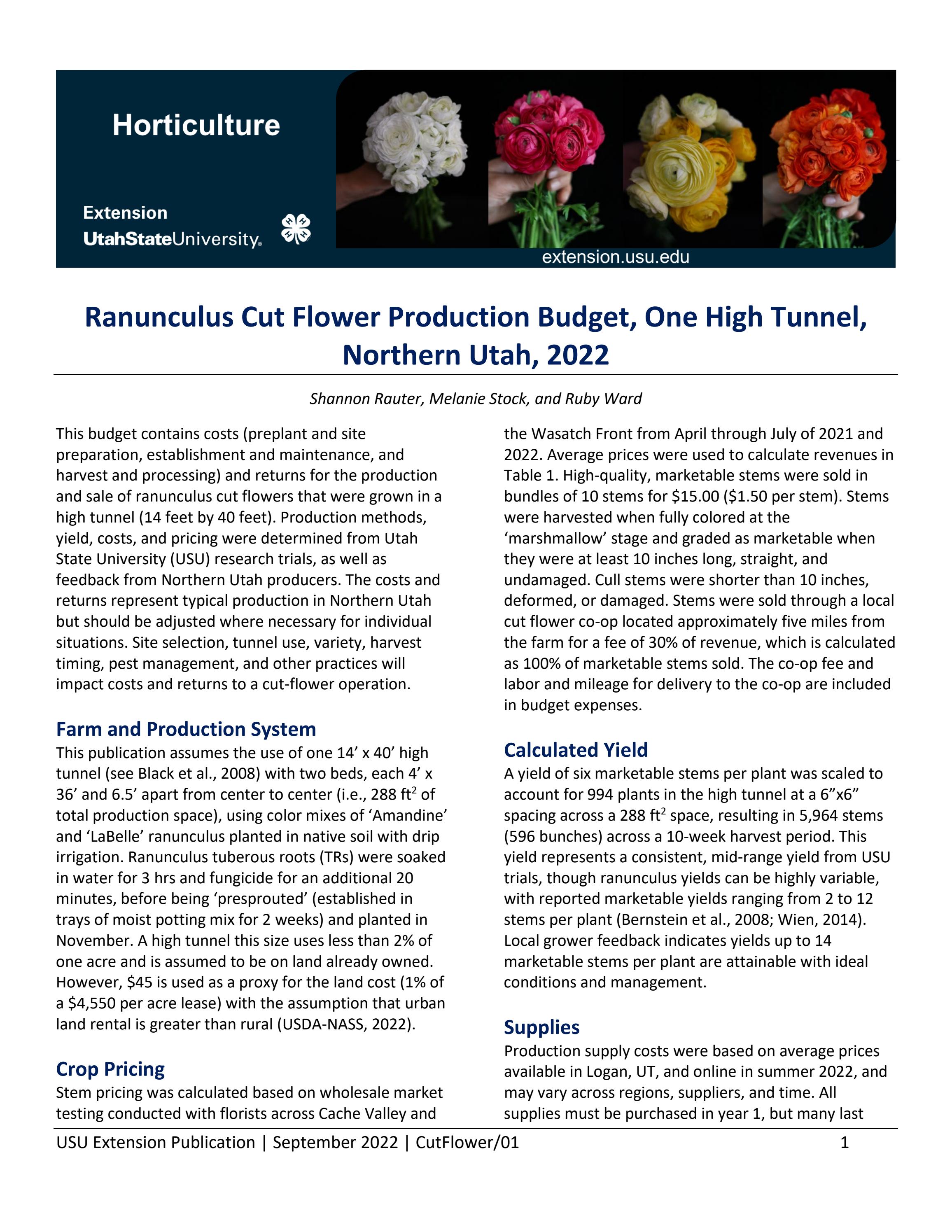 Ranunculus Cut Flower Production Budget by Utah State University ...