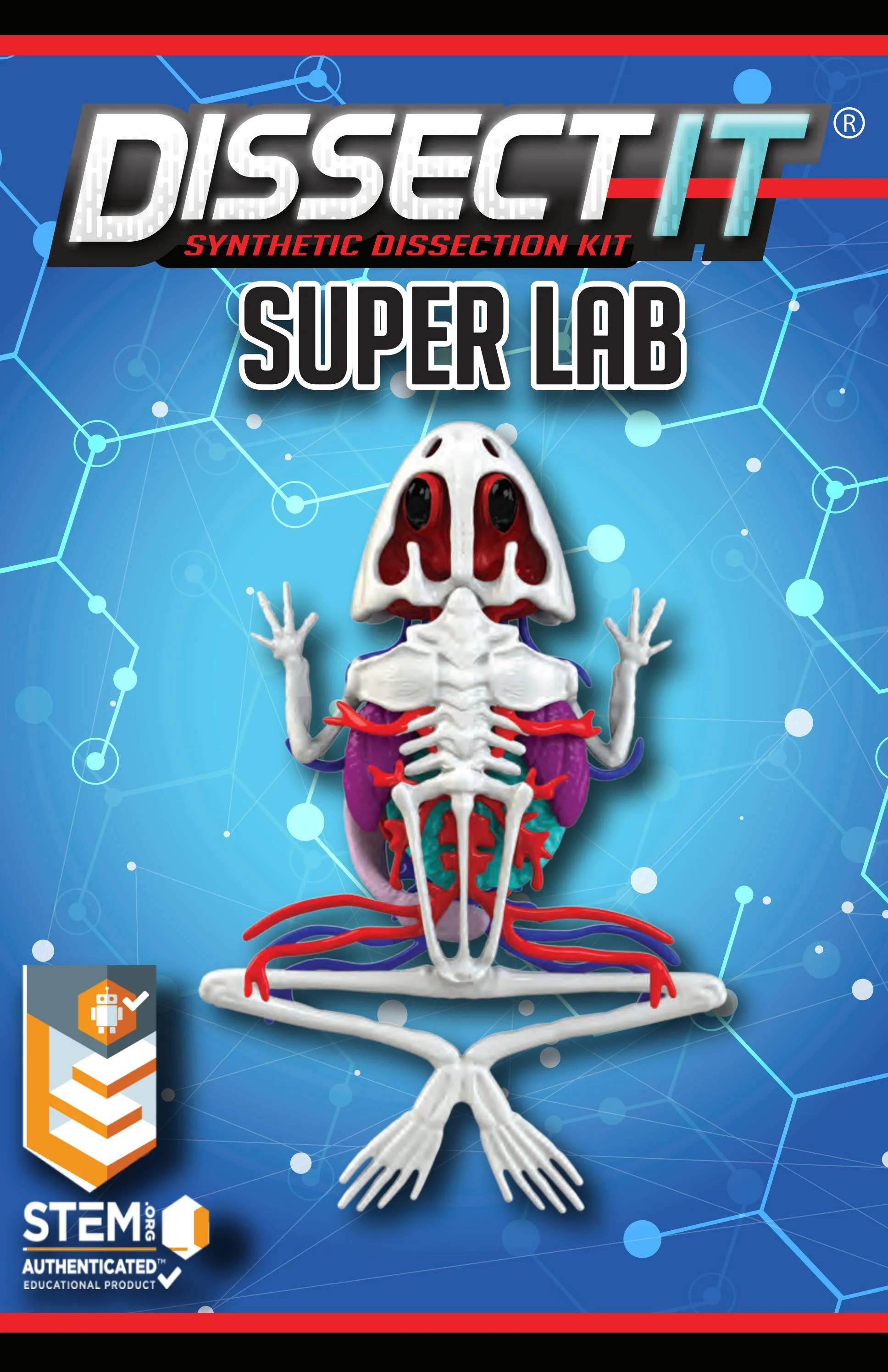 Dissect It Frog Super Lab Instructions by Passport to Wildlife - Issuu