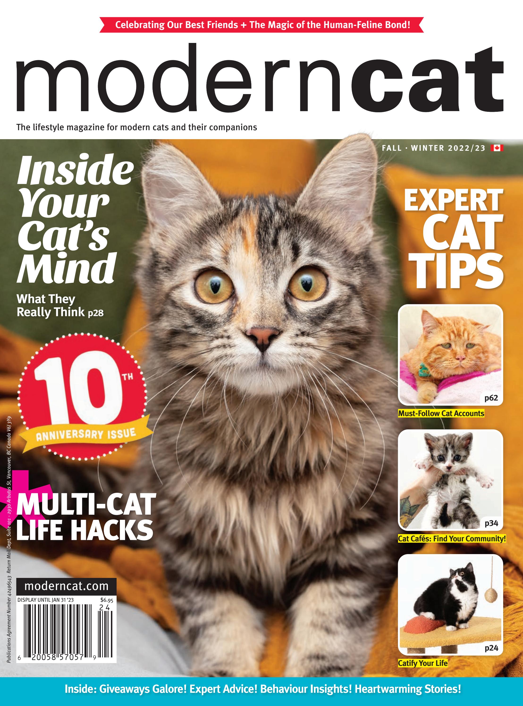 Modern Cat Fall/Winter 2022 by Modern Cat Magazine - Issuu