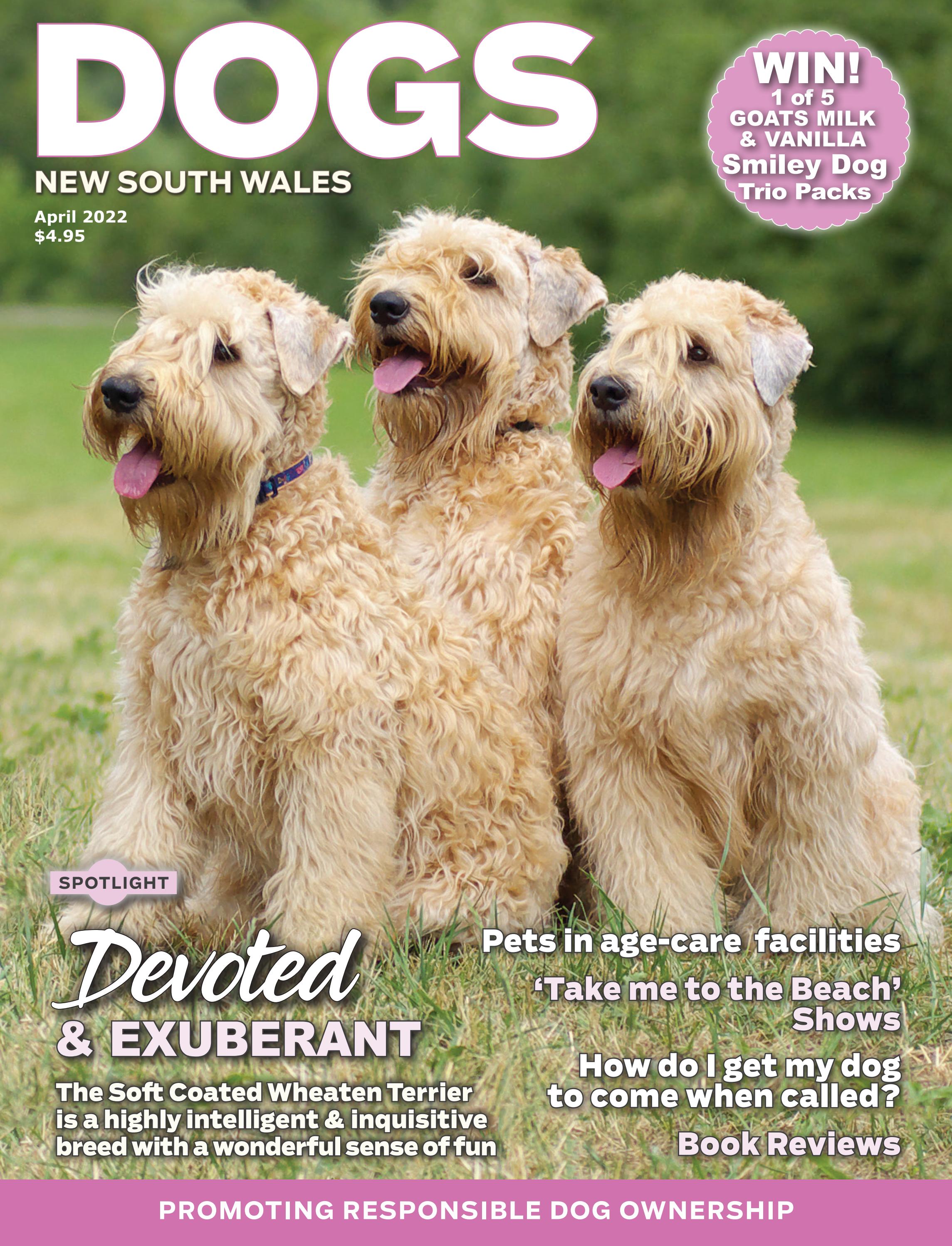 DOGS NSW April 2022 Magazine by dogsnsw - Issuu