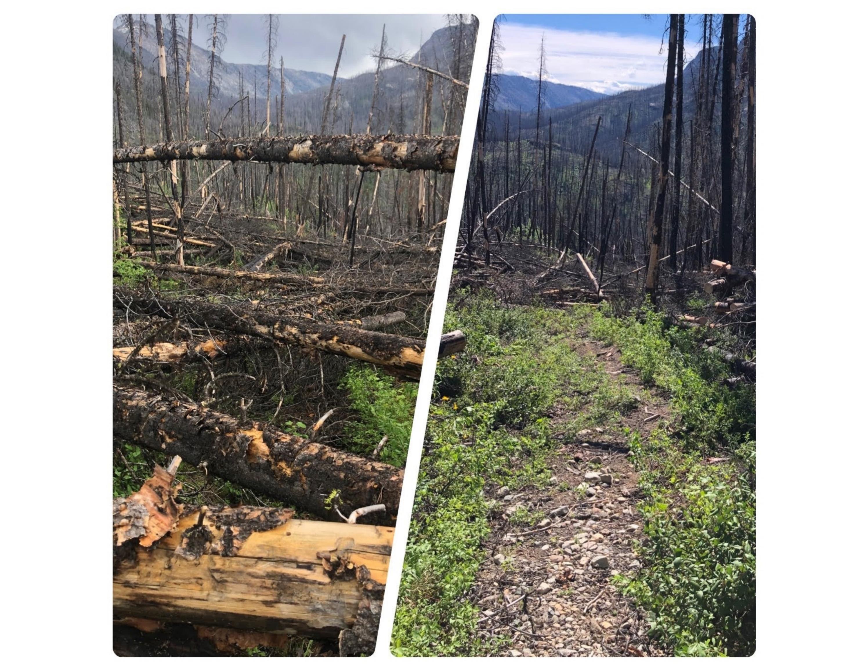 Lost Trails Found 2022 Before & After by Washington Trails Association ...