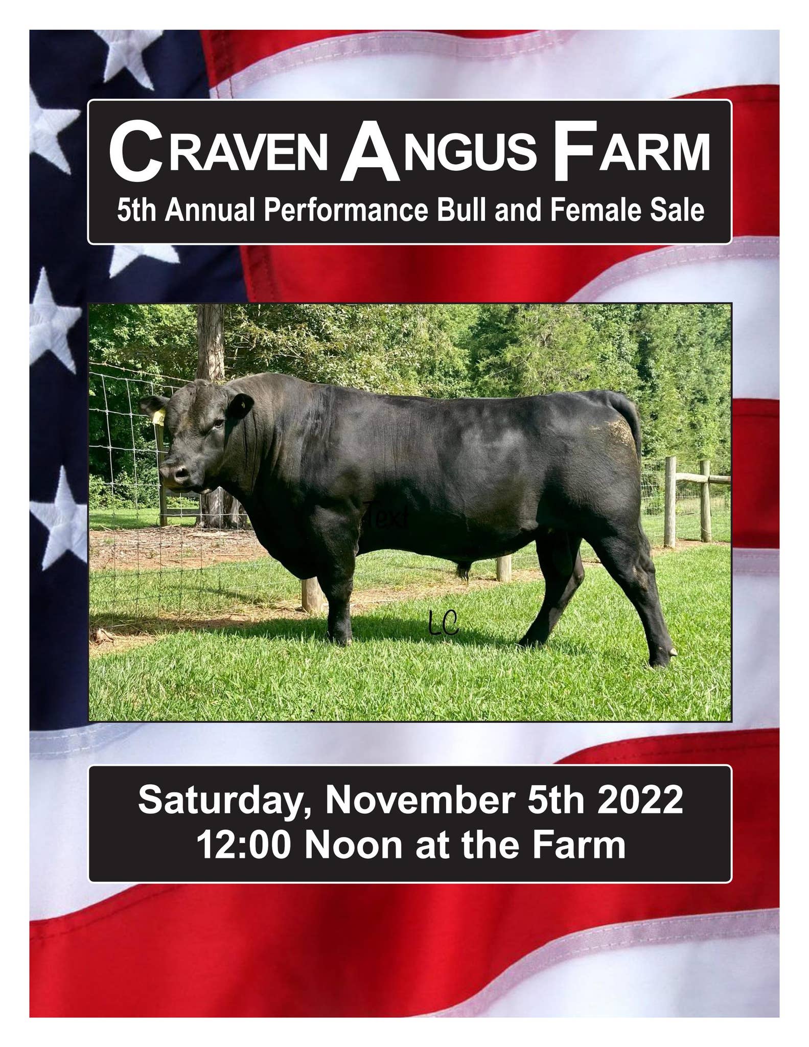 Craven Angus Farm 5th Annual Performance Bull & Female Sale by Luke ...