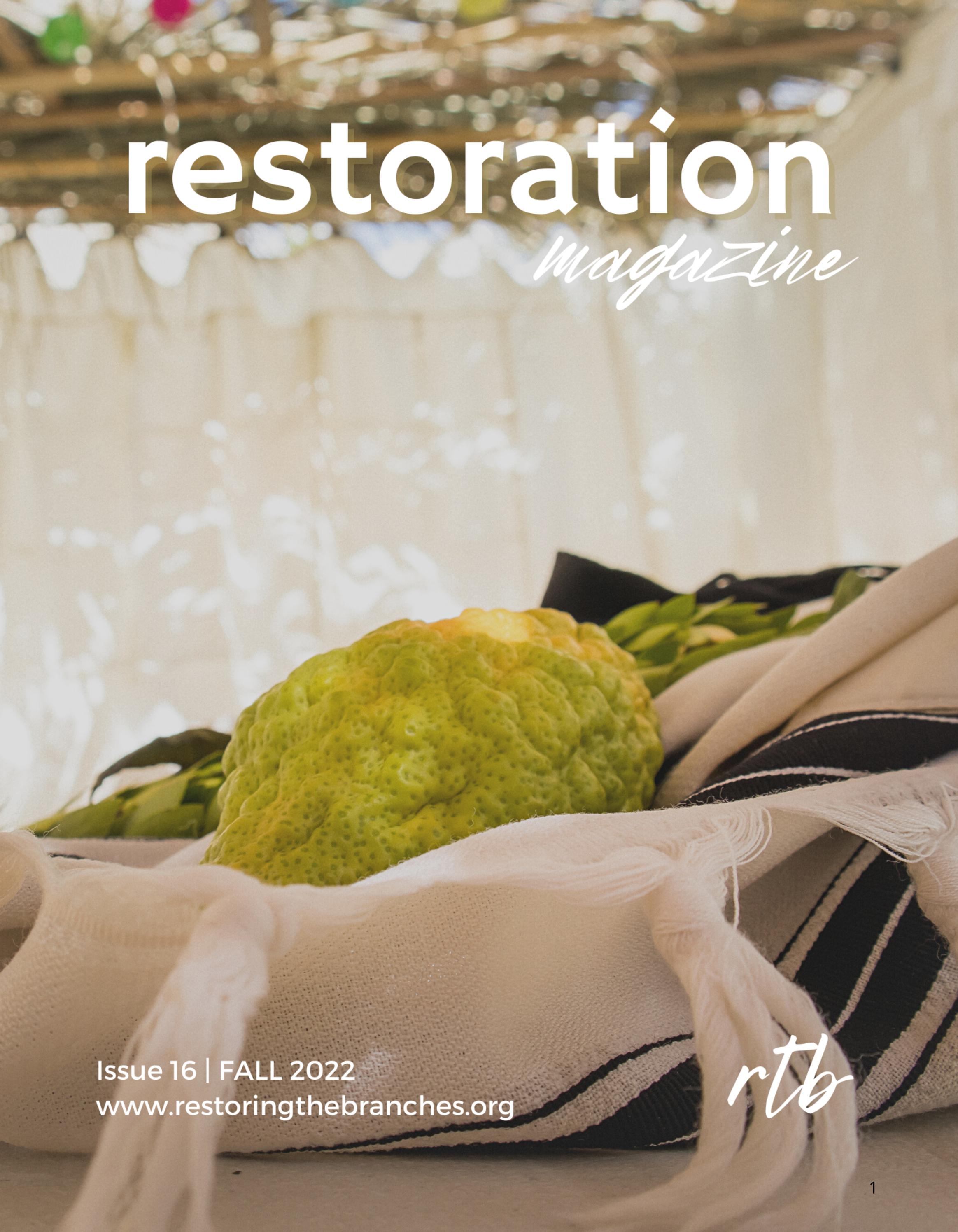 RESTORATION Magazine Issue 16 Fall 2022 by RESTORATION Magazine - Issuu