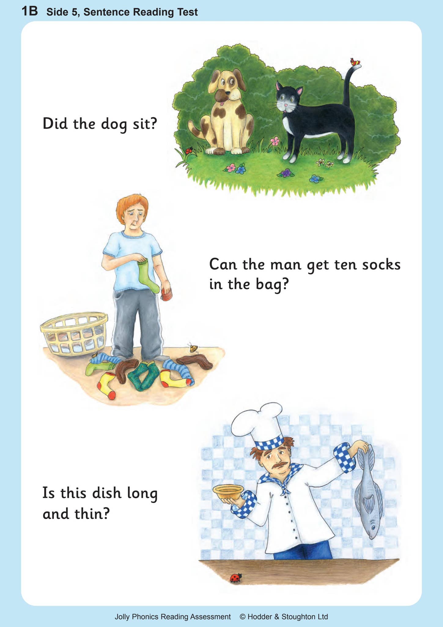 Jolly Phonics Reading Assessment by Jolly Learning Ltd - Issuu