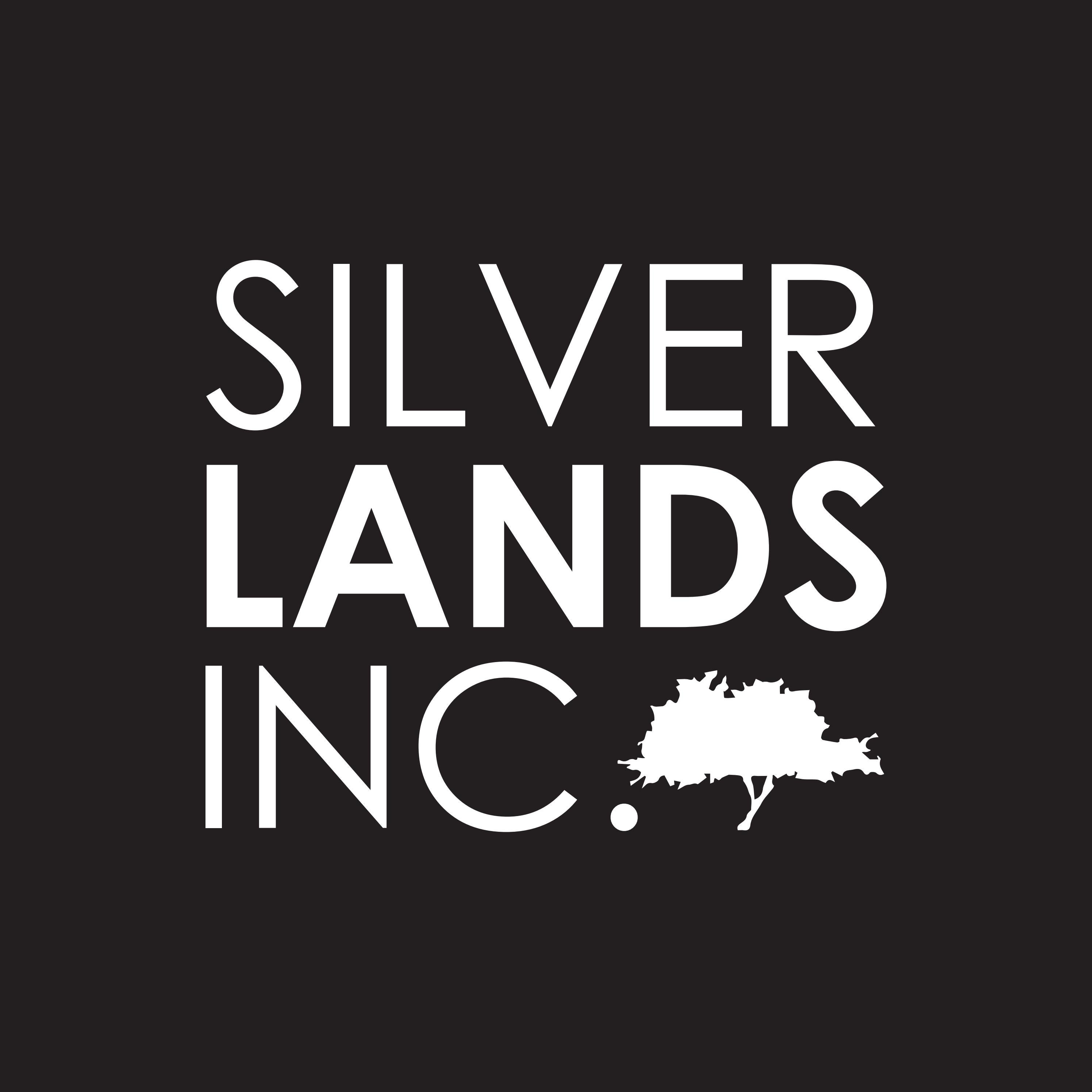 SILVER LANDS INC. — Portfolio (2021) by SILVER LANDS INC. - Issuu
