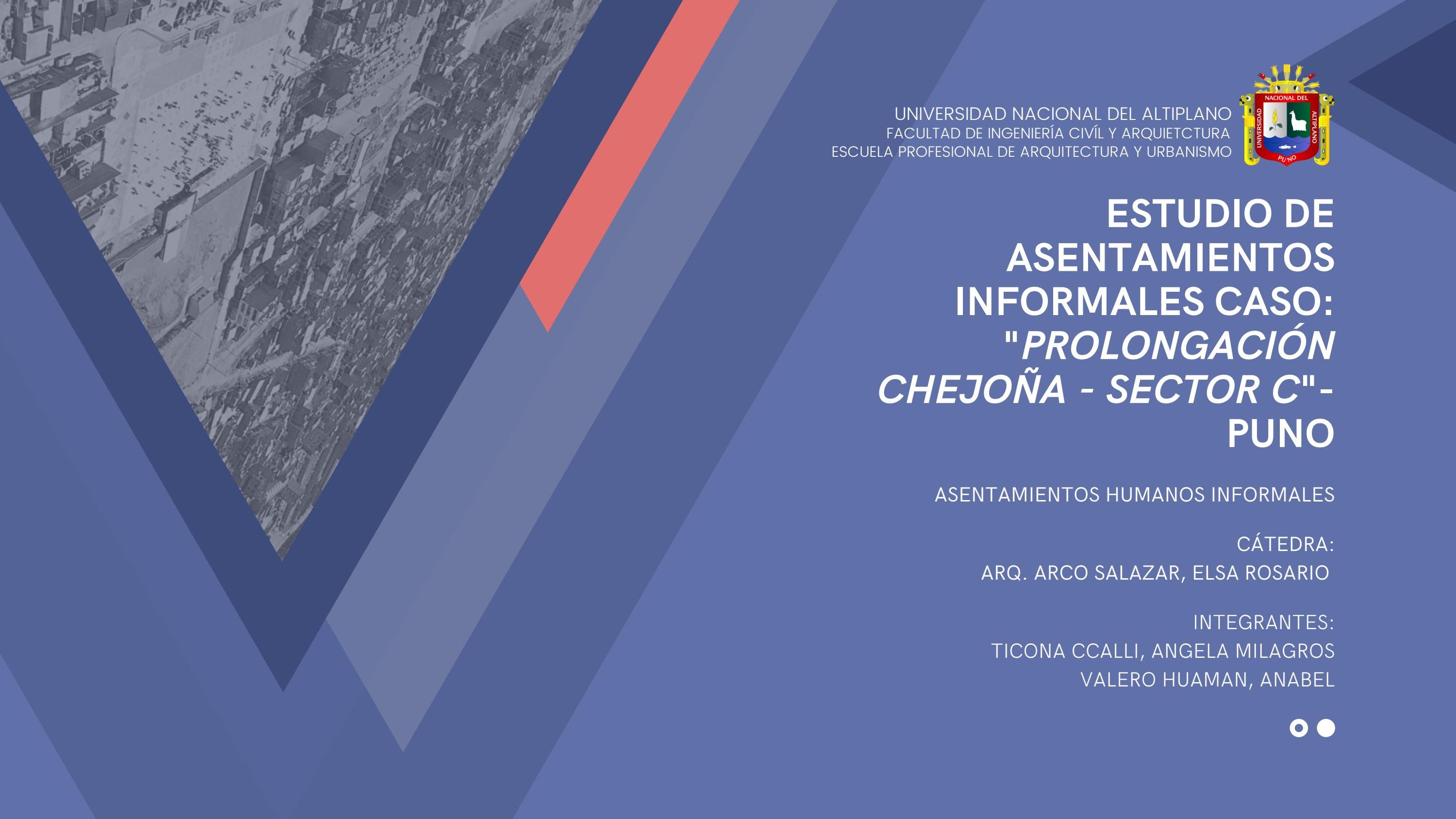 ESTUDIO DE ASENTAMIENTOS INFORMALES CASO: "PROLONGACIÓN CHEJOÑA ...