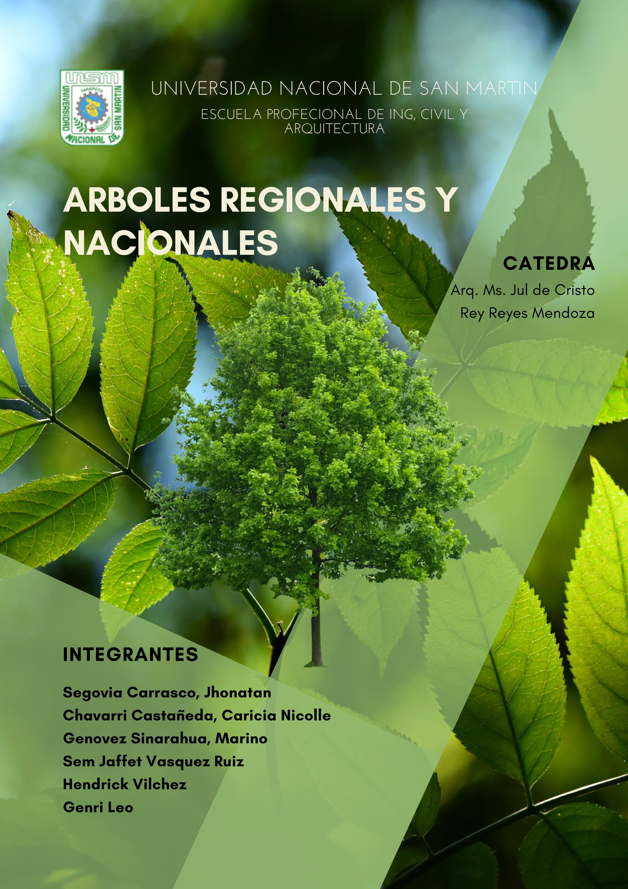 ARBOLES REGIONALES Y NACIONALES (PERÚ) by Sem Vasquez Ruiz - Issuu
