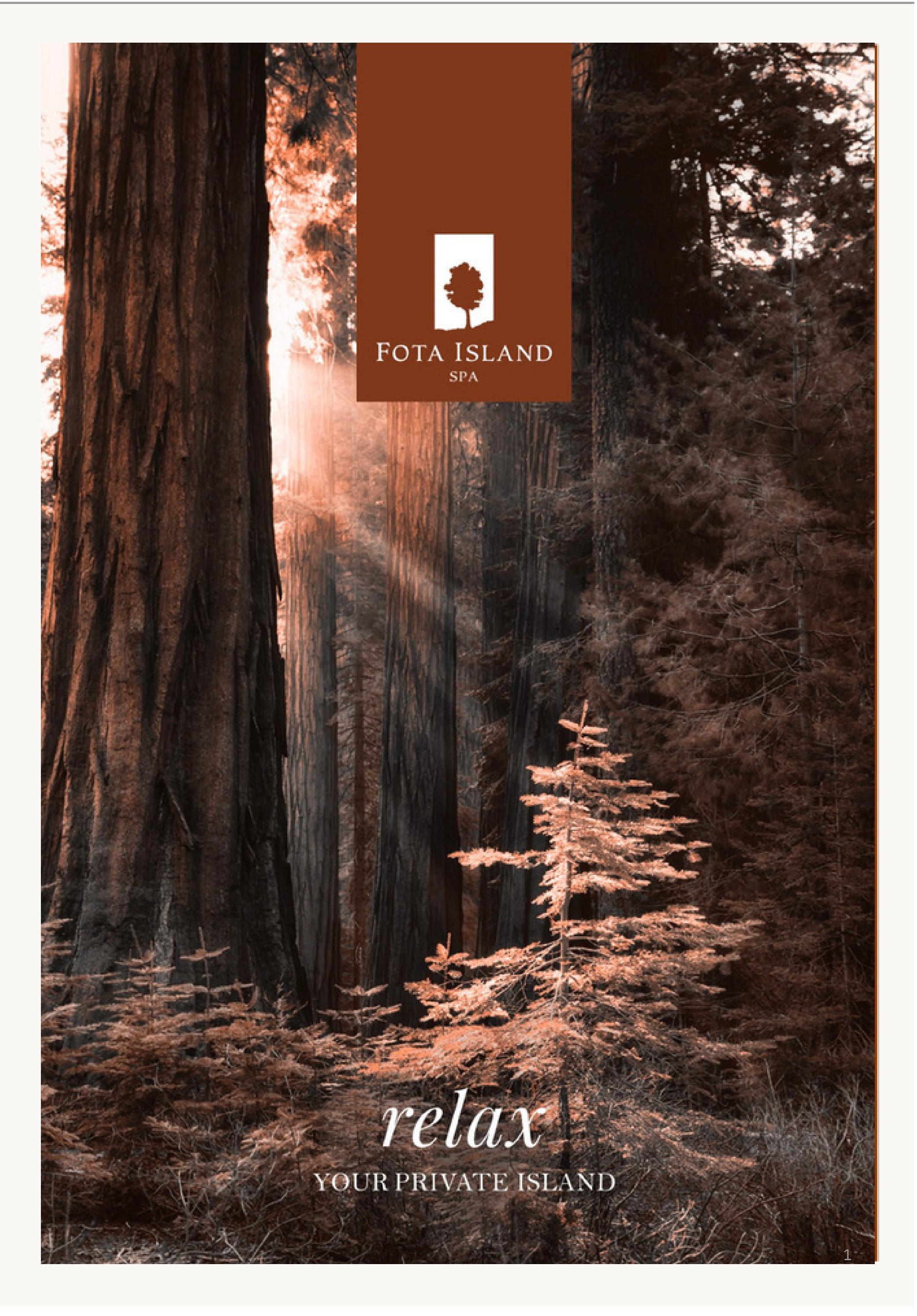 Fota Island Spa Brochure by fotacollection - Issuu