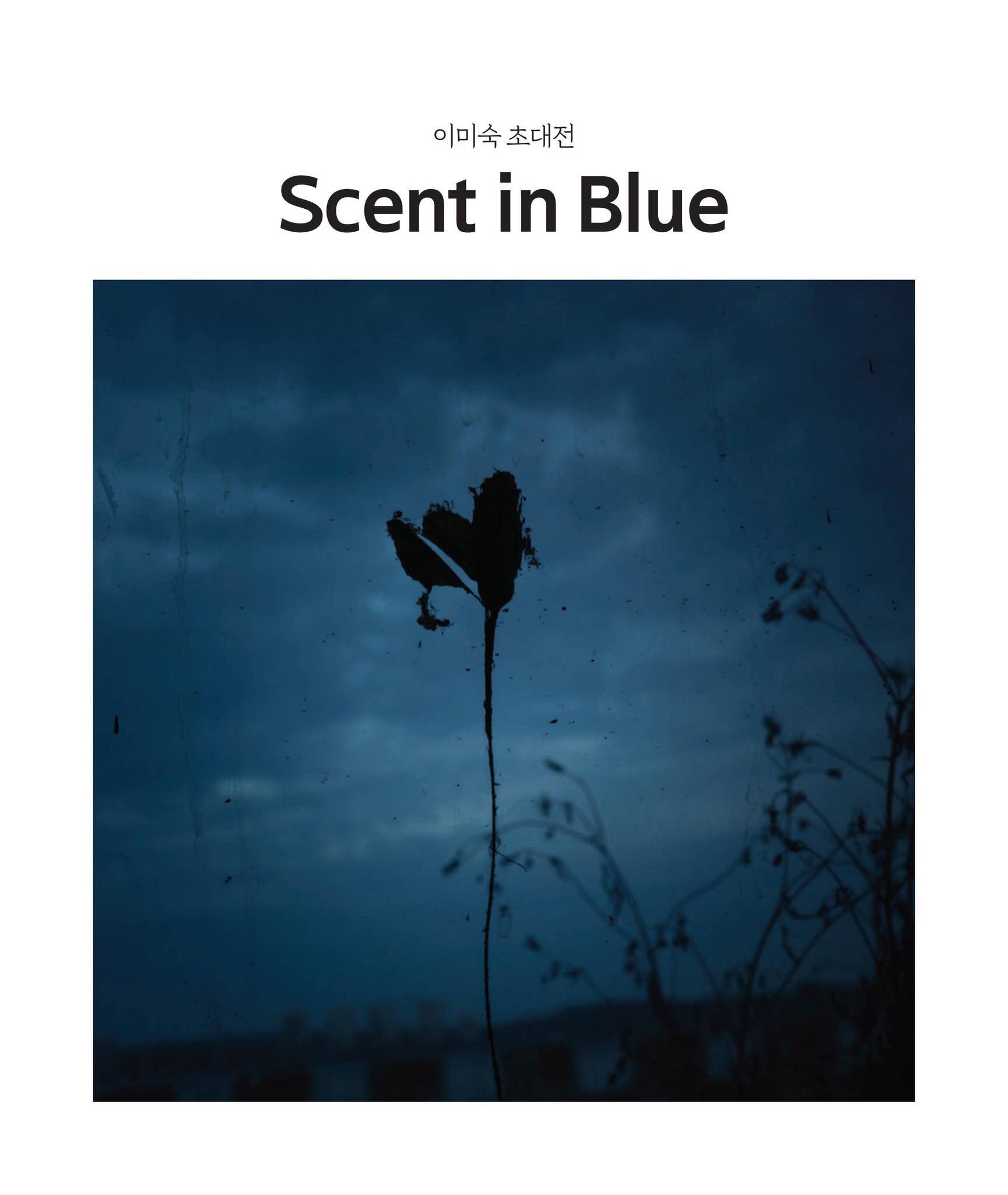 LEE MISOOK's Invited Exhibition 2022 by redming88 - Issuu