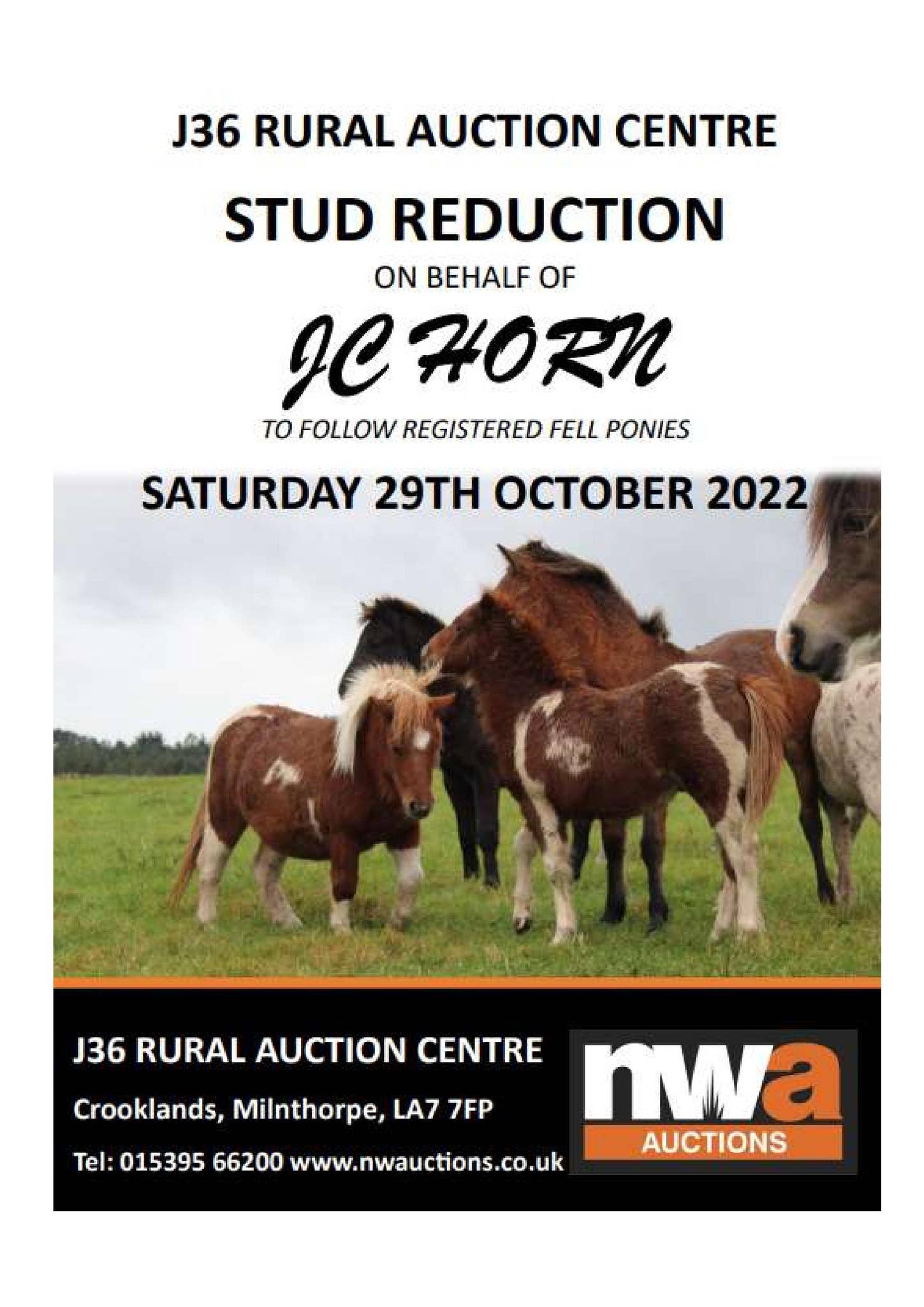 Stud Reduction Sale for JC Horn by North West Auctions - Issuu