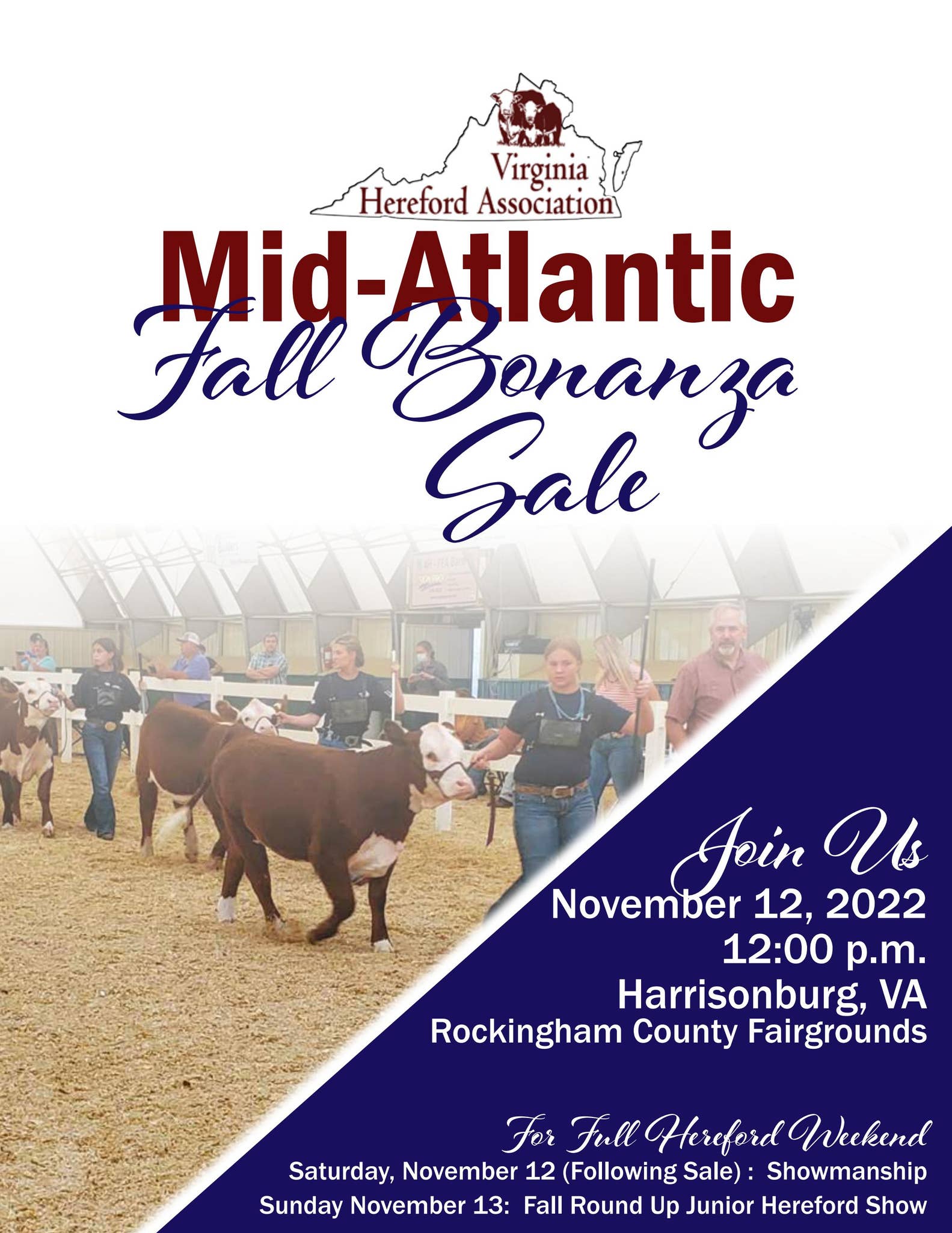 Mid-Atlantic Fall Bonanza Sale by American Hereford Association - Issuu