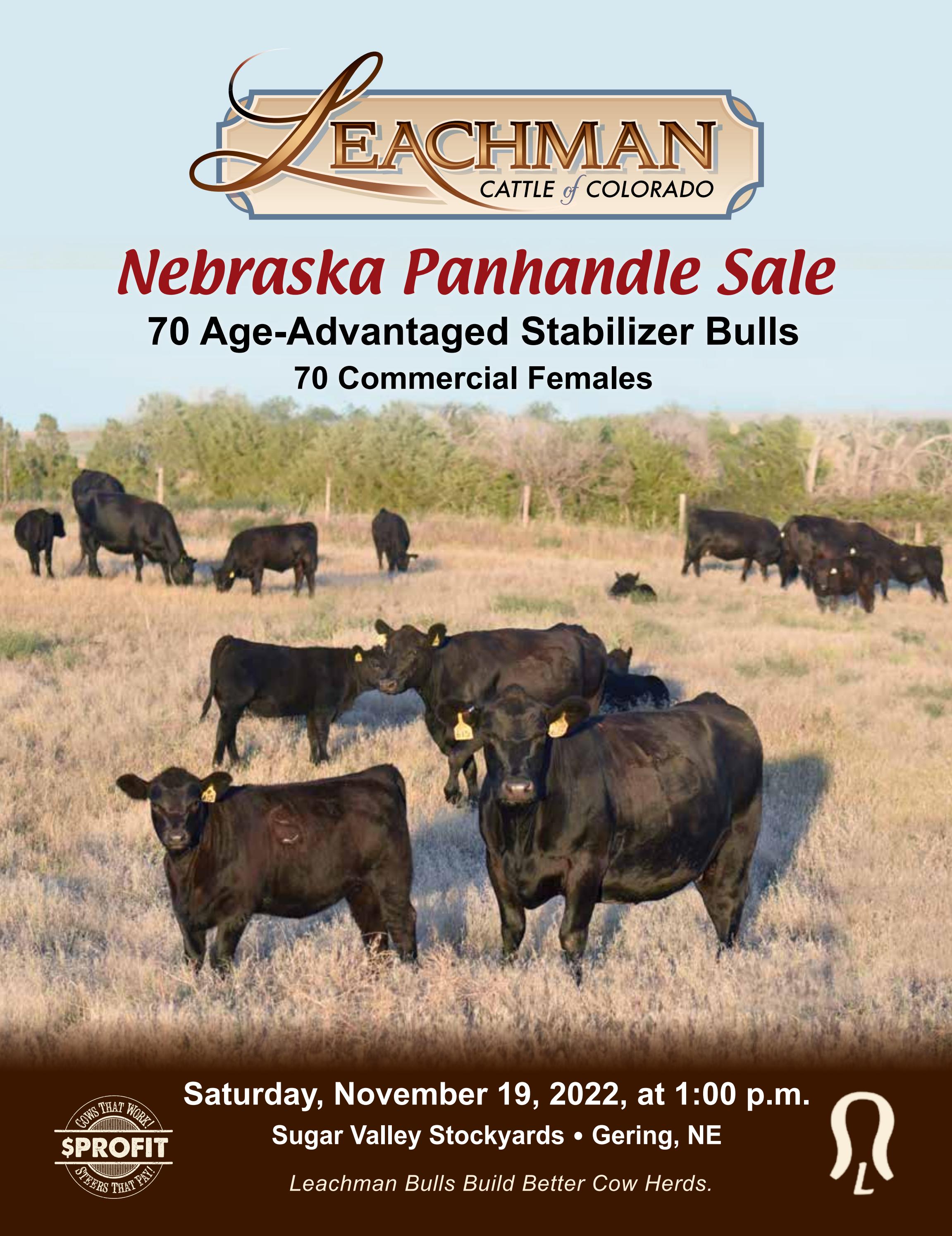 2022 Leachman Nebraska Panhandle Sale by Leachman - Issuu