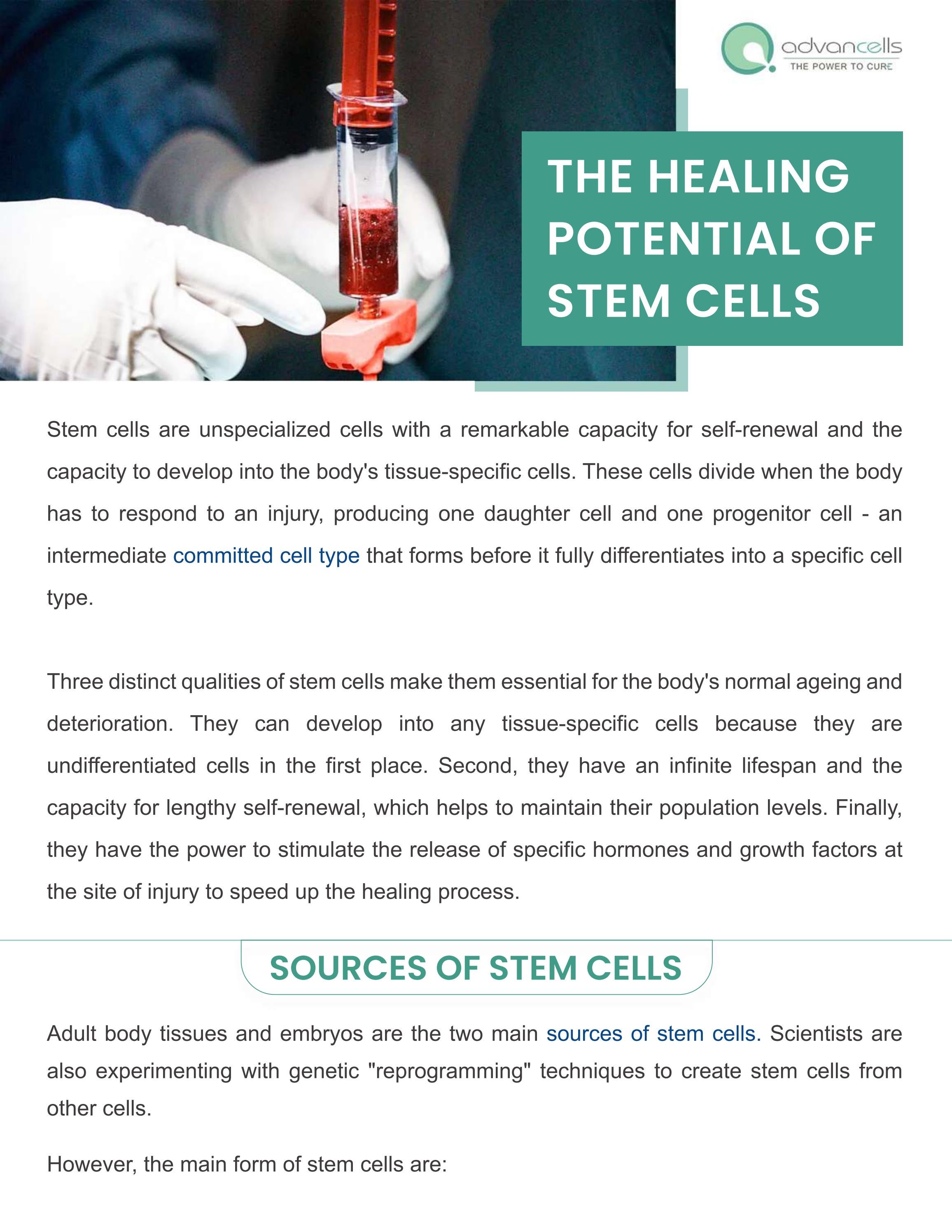 The Healing Potential of Stem Cells by Advancells - Issuu