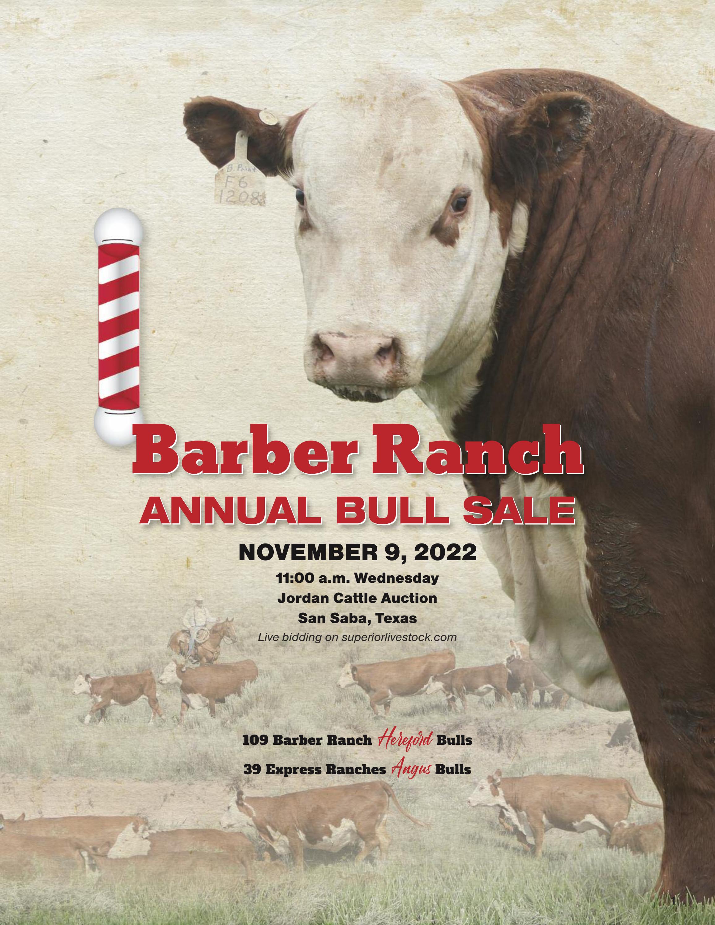 Elle P Designs Bismarck Nd