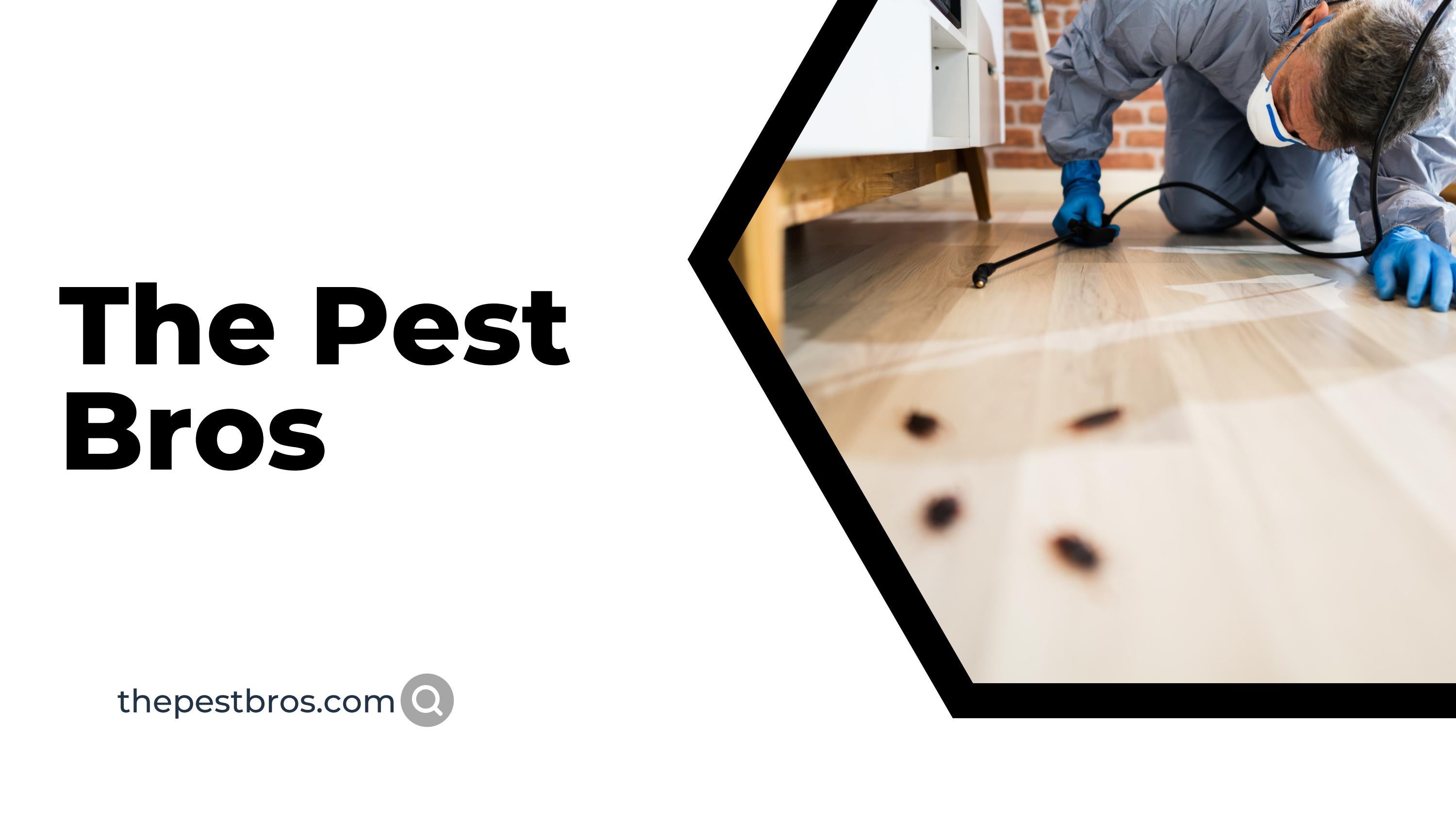 Get The Best Pest Control In Webster TX - The Pest Bros by The Pest ...