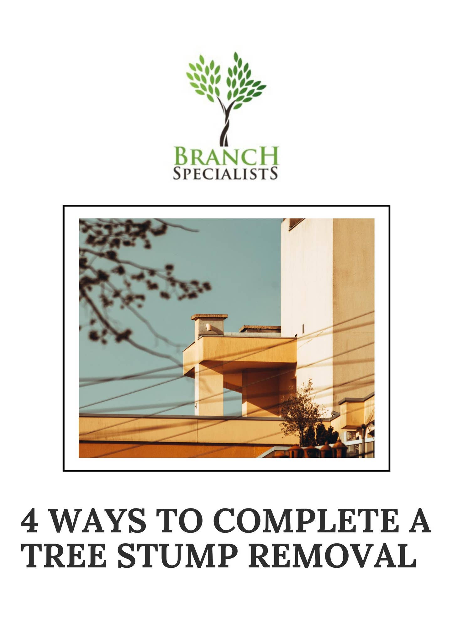 4 Ways to Complete a Tree Stump Removal by Branch Specialists Rochester ...