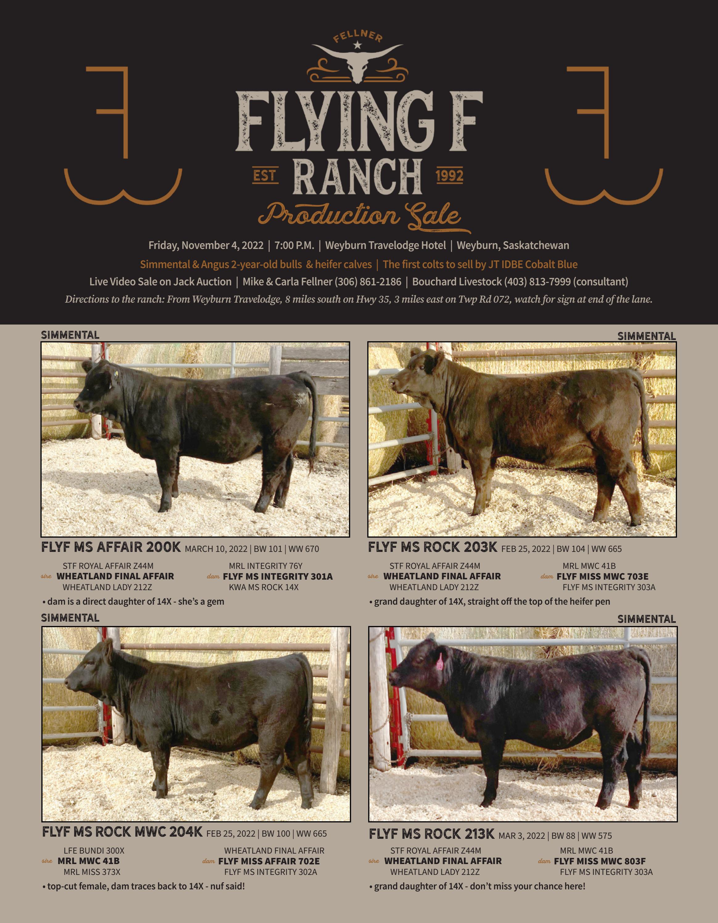 Flying F Ranch Production Sale by Bella Spur Creative - Issuu
