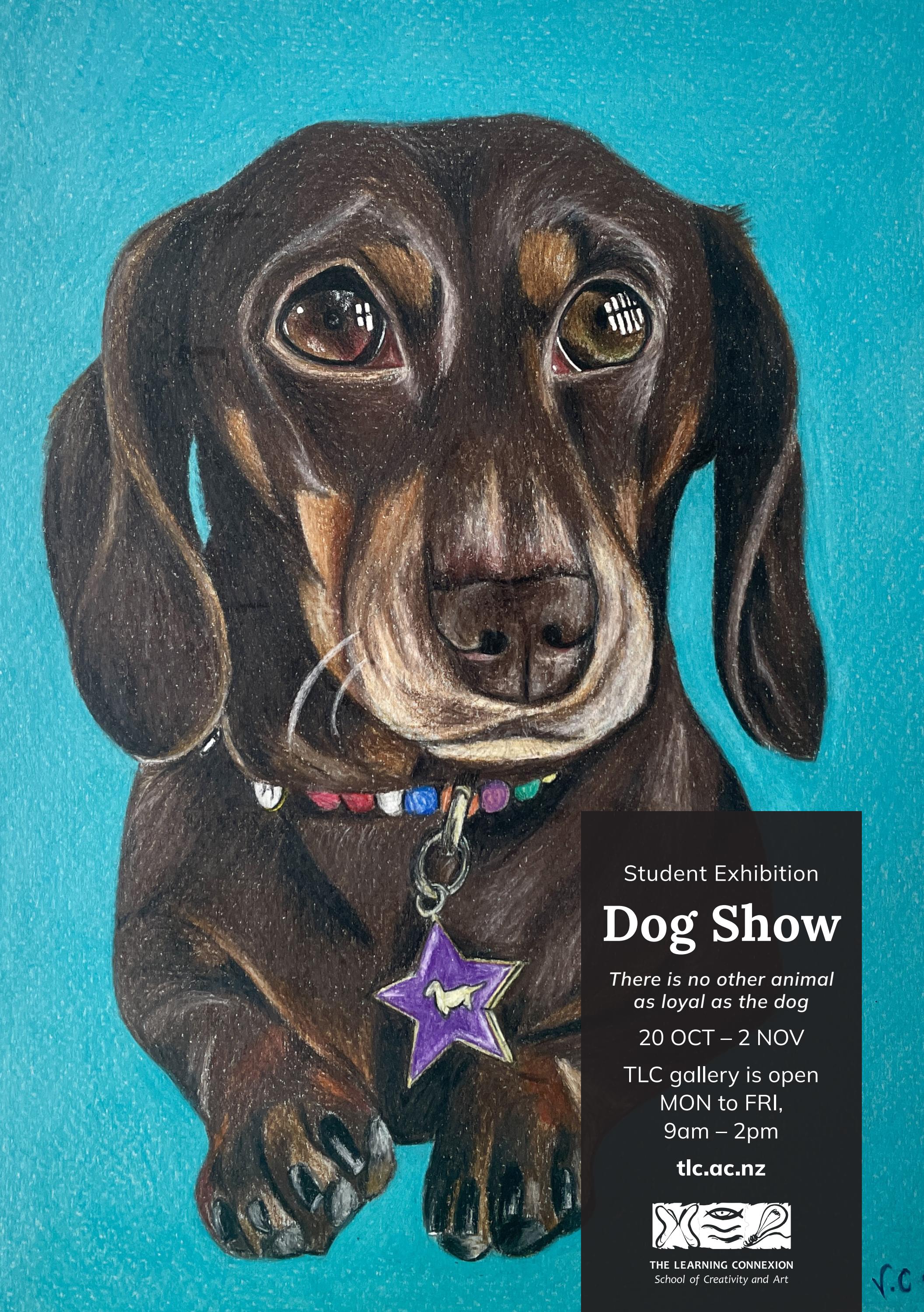 Dog Show by The Learning Connexion - School of Creativity and Art - Issuu