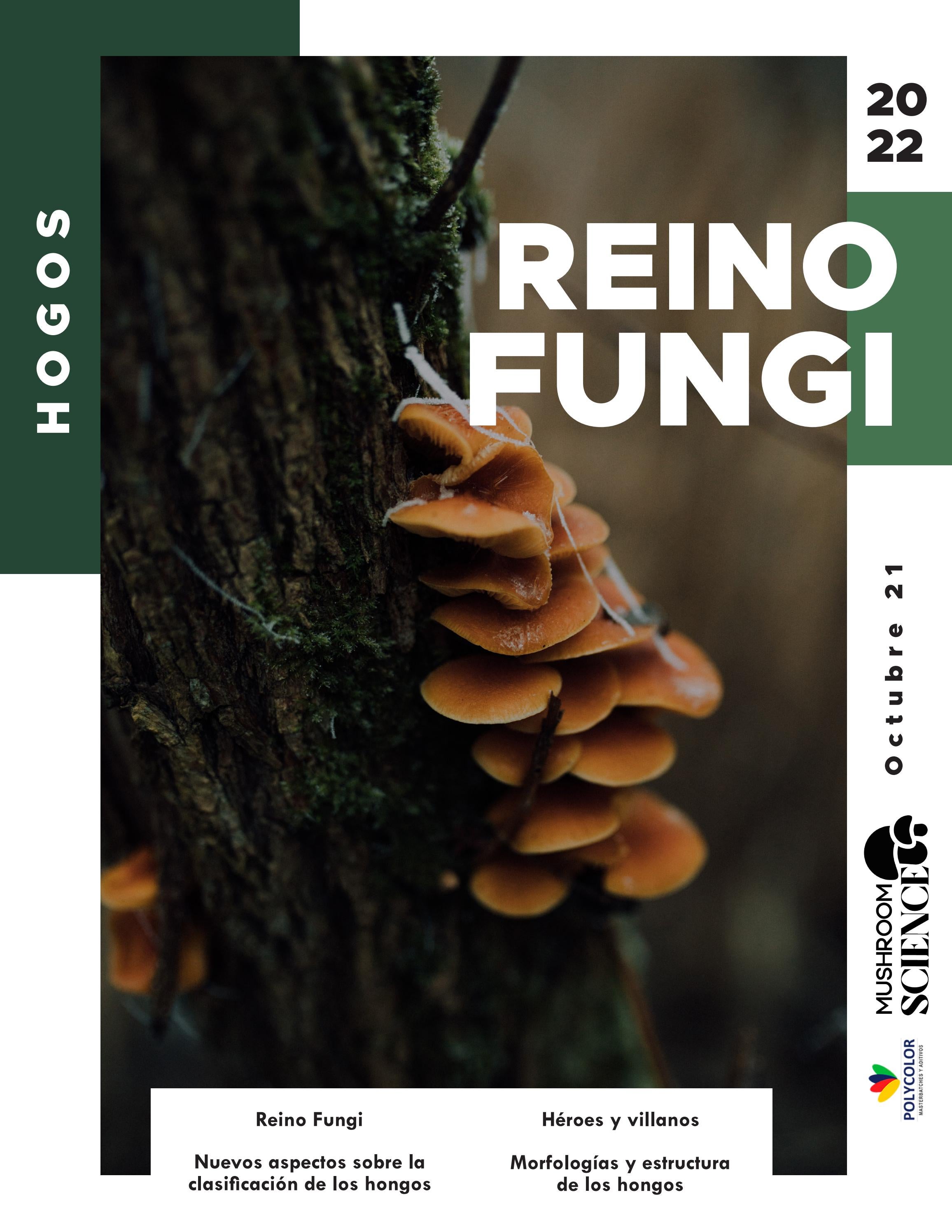 REVISTA Reino Fungi by Julia Berenice Pineda Vásquez - Issuu