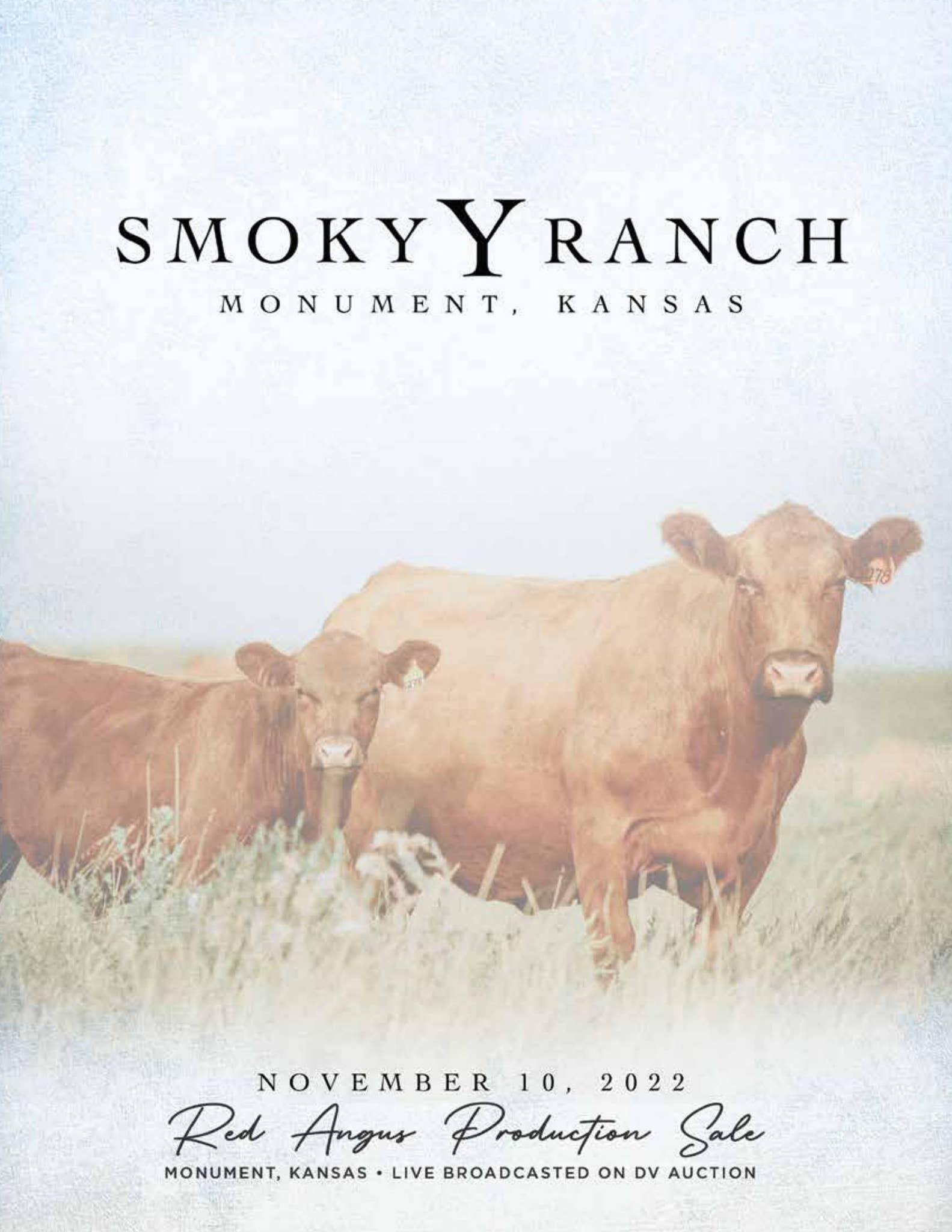2022 Smoky Y Ranch Red Angus Production Sale • November 10, 2022 by ...