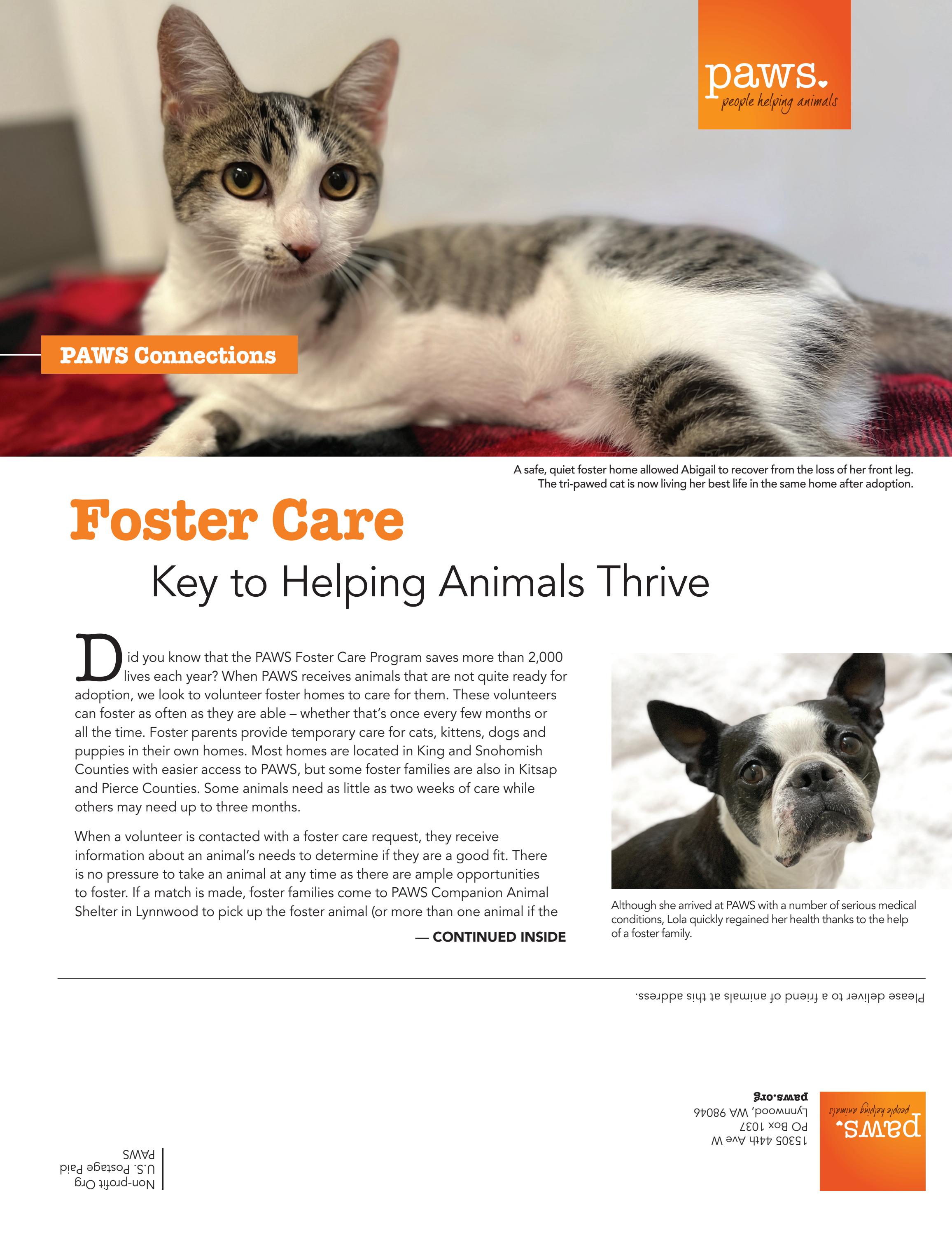 PAWS Mini Magazine Fall 2022 by PAWS - Issuu