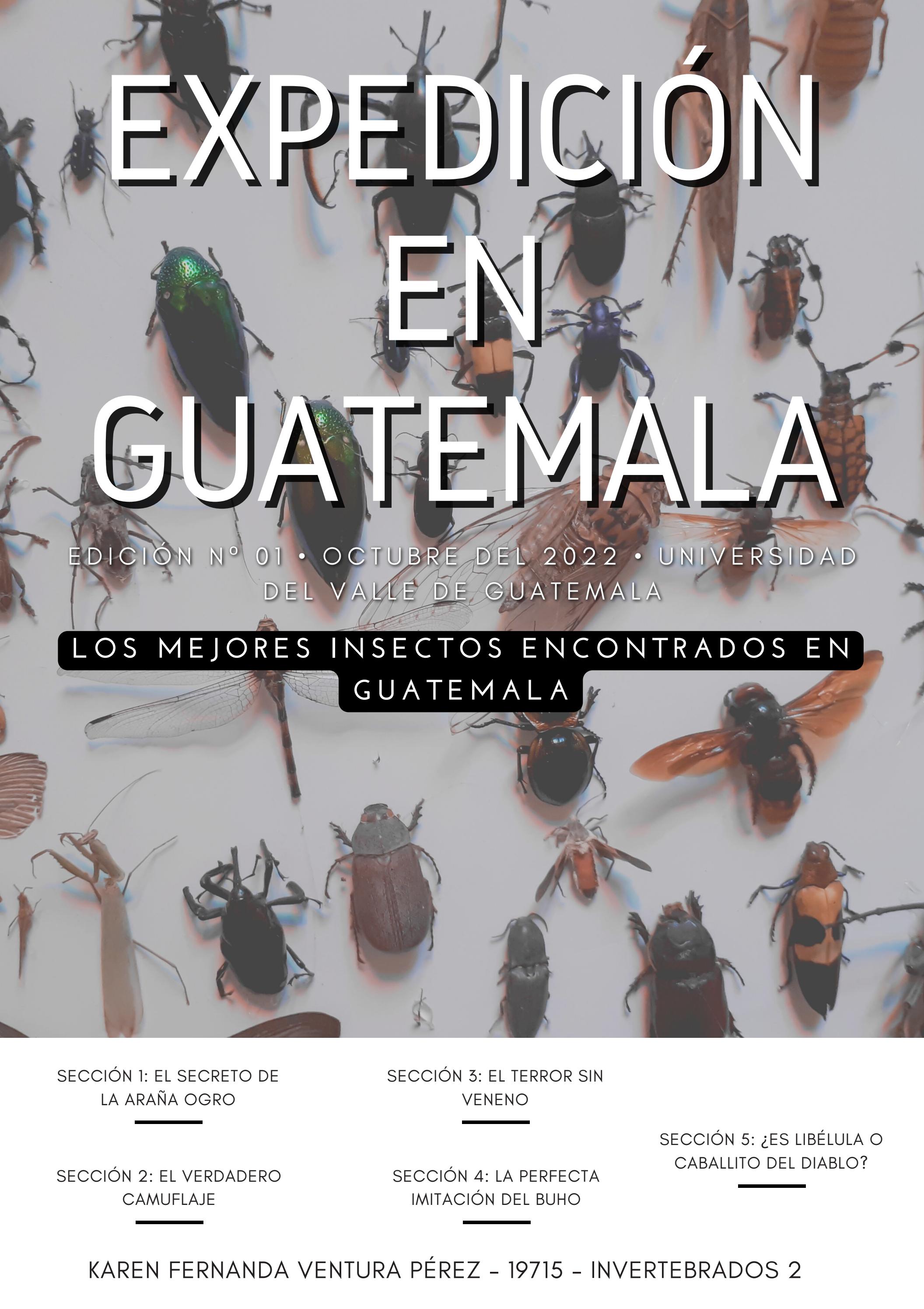 Revista Invertebrados 2 by Karen Ventura - Issuu