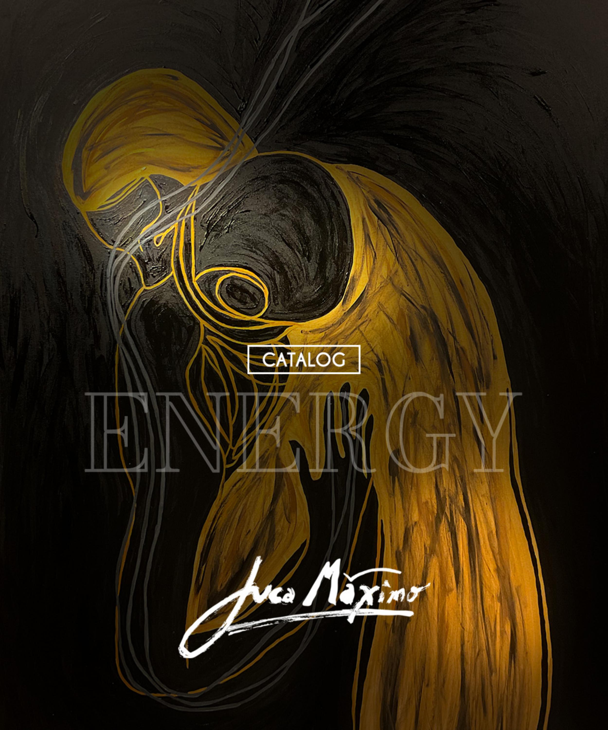 Juca Máximo Energy Catalog 22 by Juca Máximo - Issuu