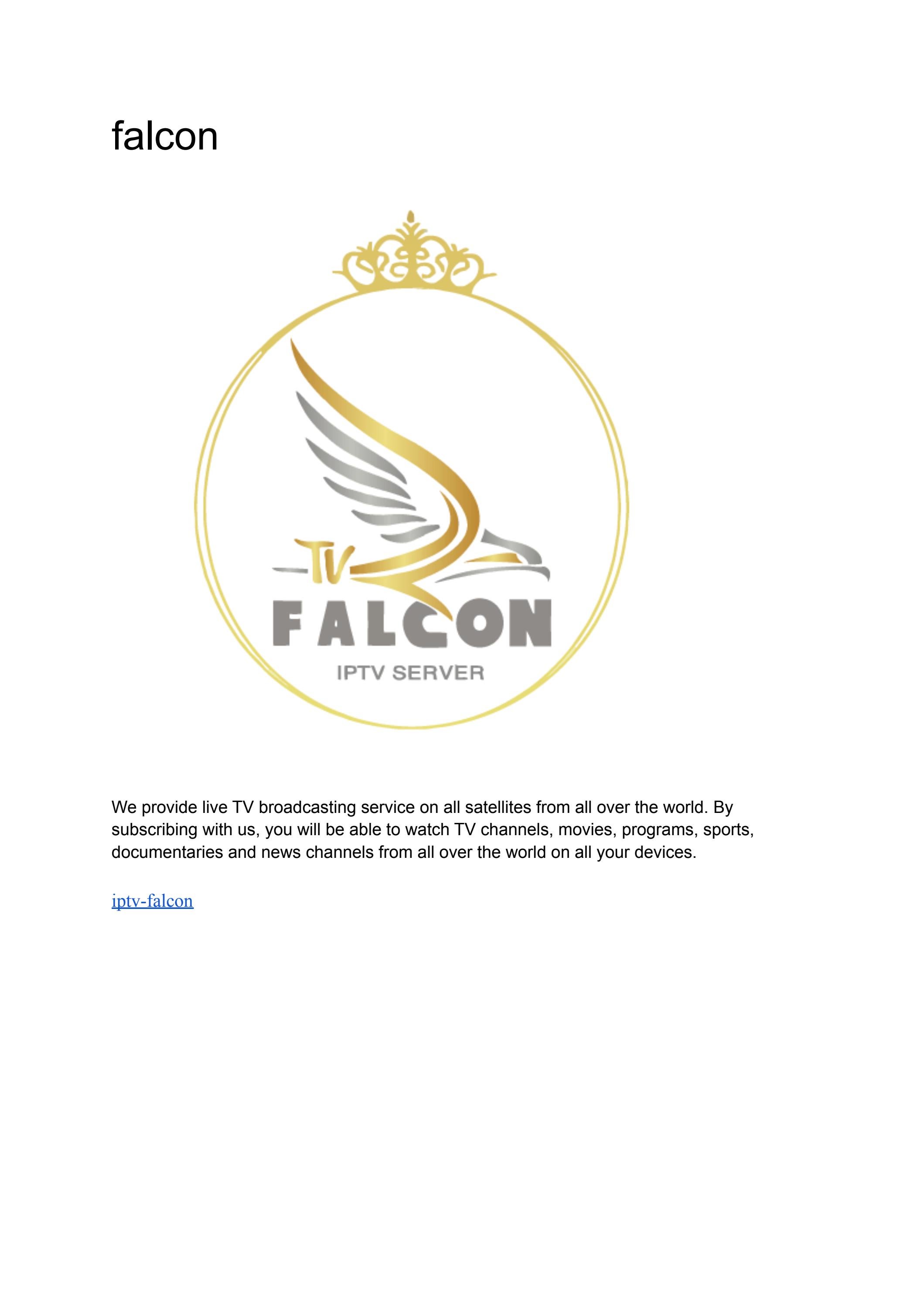 falcon by hosam ellithey - Issuu