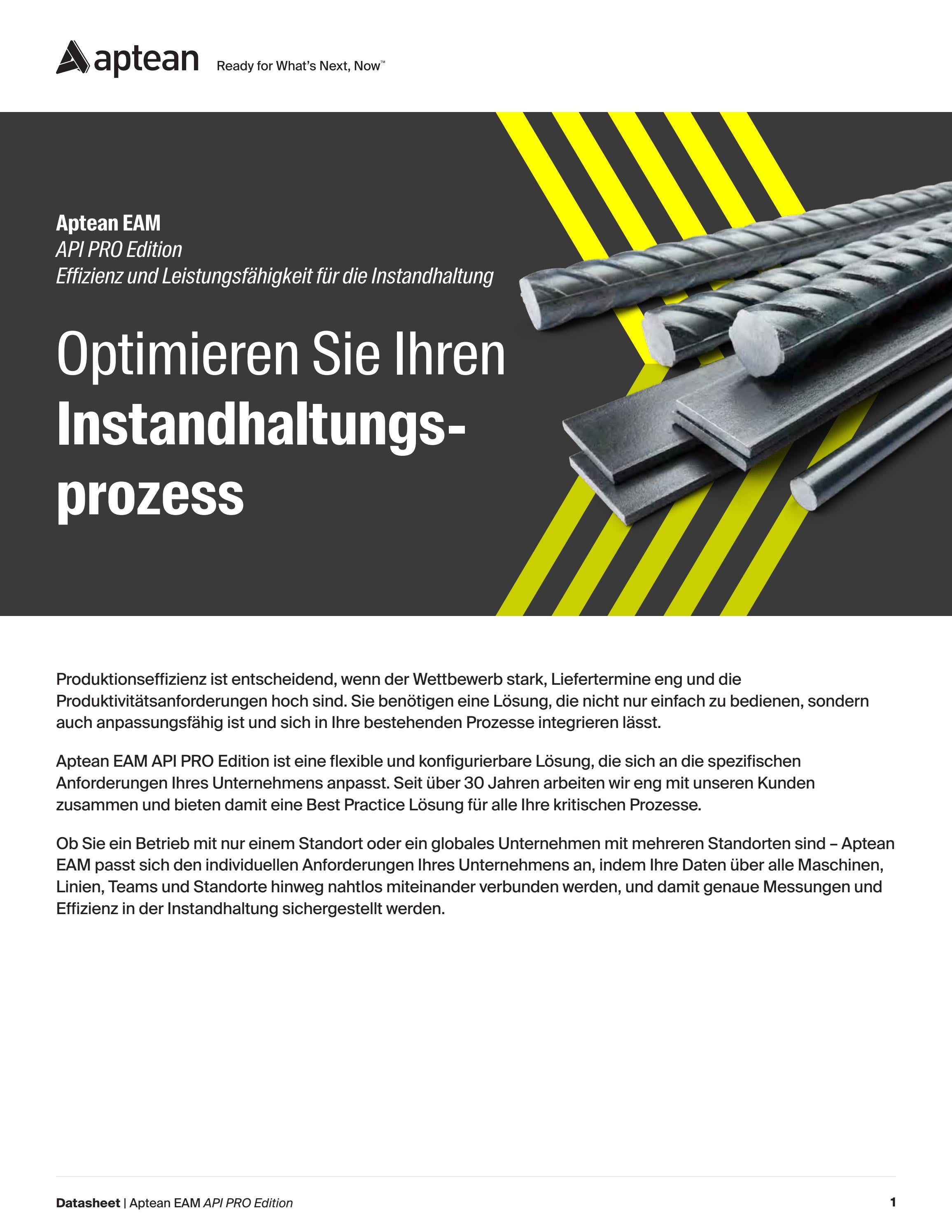 Aptean EAM API PRO Edition by Aptean - Issuu