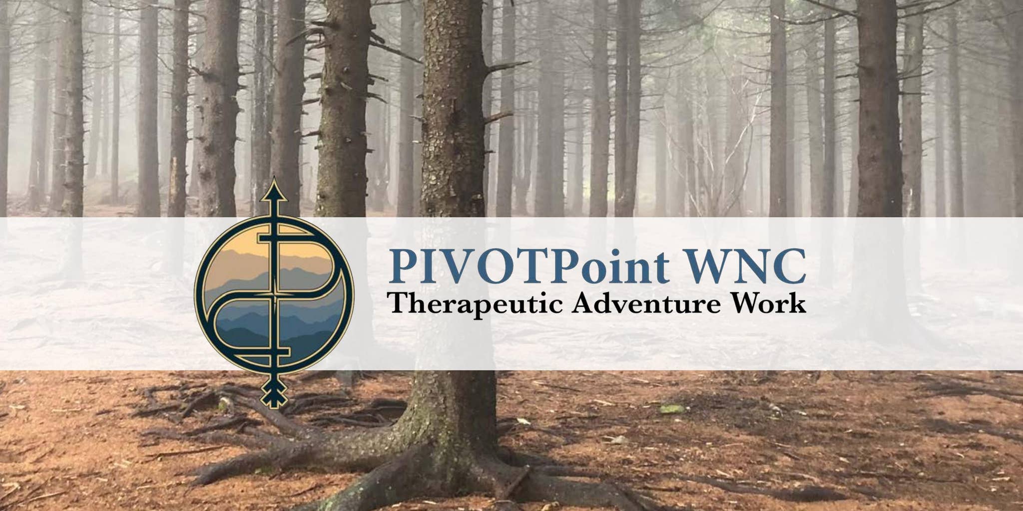 The PIVOTPoint WNC Organization by pivotpointwnc - Issuu