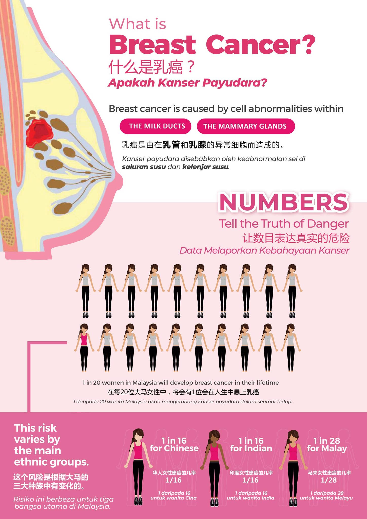 What is Breast Cancer? by Penang Adventist Hospital - Issuu