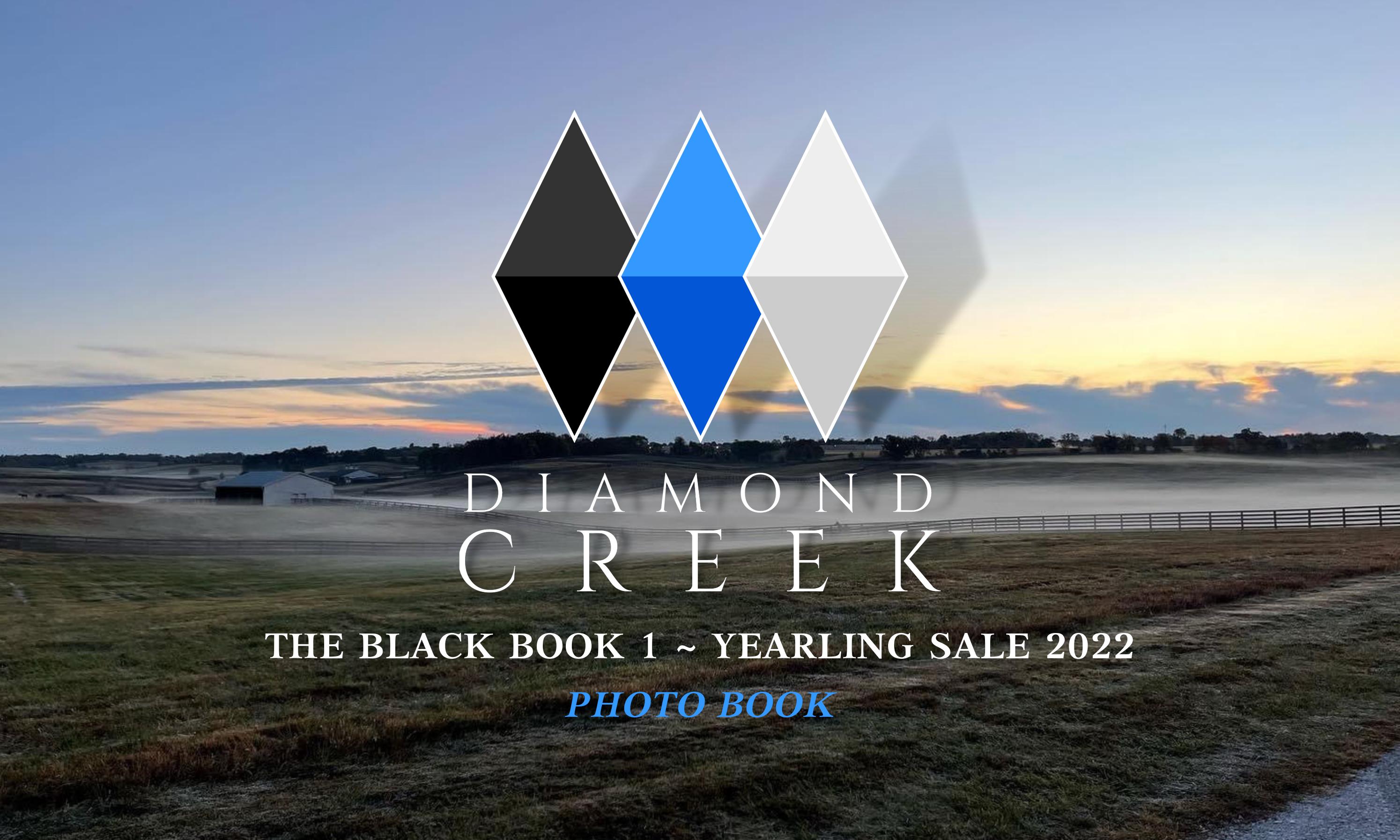 THE BLACK BOOK - PHOTO BOOK - YEARLING SALE 2022 by diamondcreekfarm ...