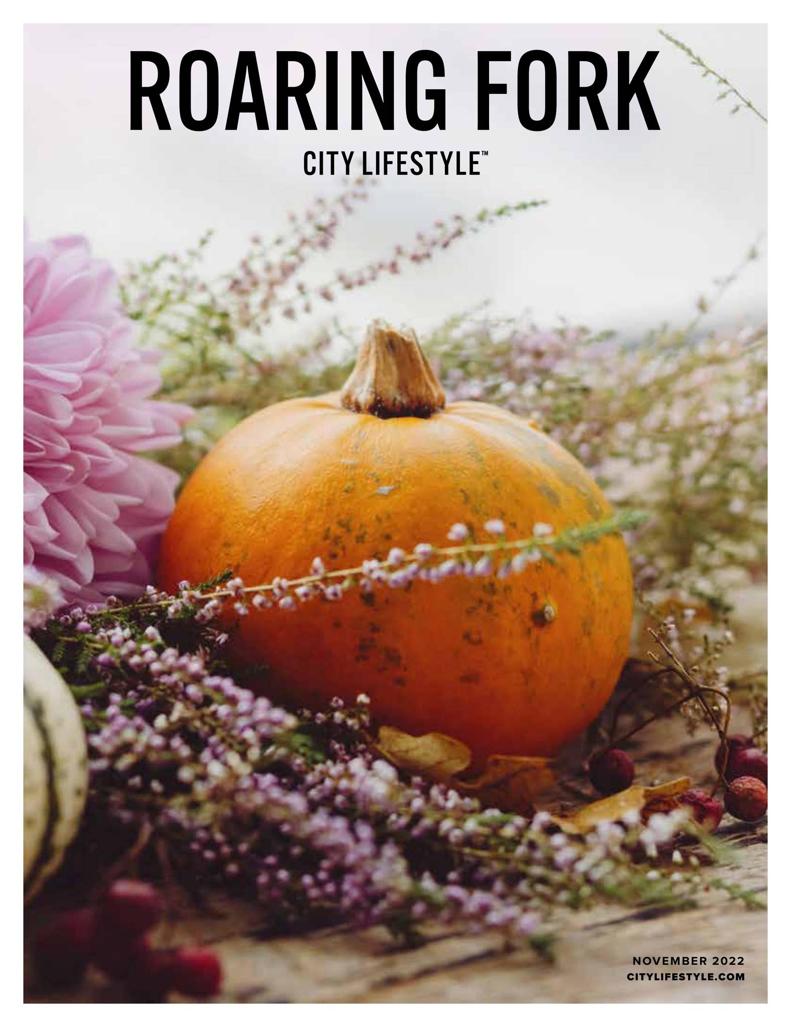 Roaring Fork, CO November 2022 by City Lifestyle - Issuu